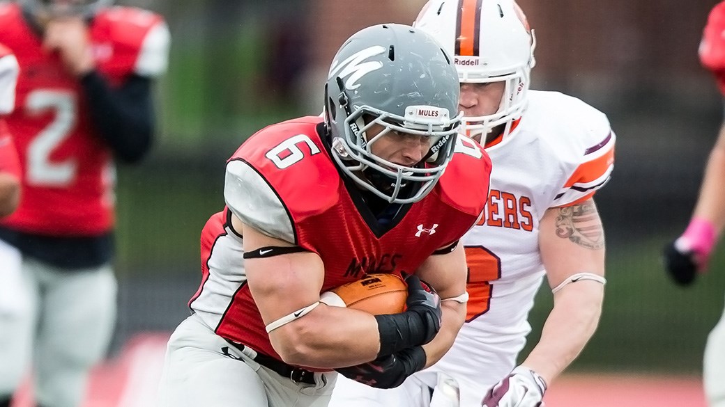Matthew Stickney - 2017 - Football - Muhlenberg College Athletics
