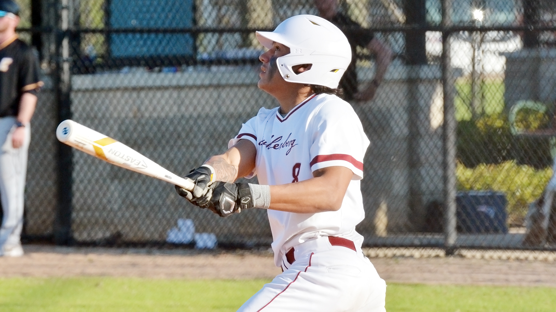 Gabe Robles - 2019 - Baseball - Muhlenberg College Athletics