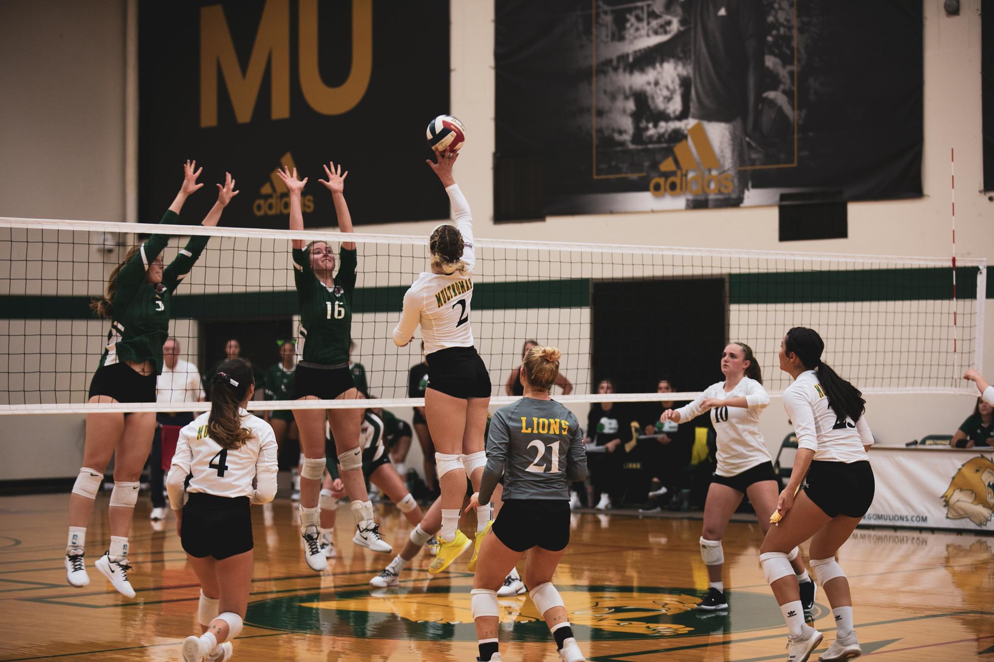 Taryn Frey - 2019 - Volleyball - Multnomah University Athletics
