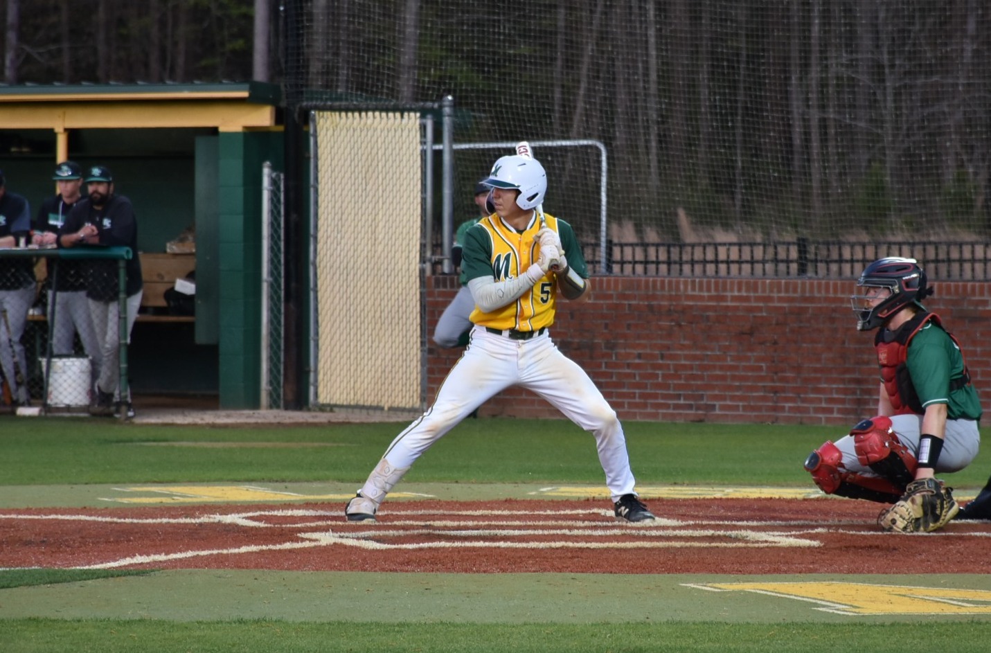 Hunter Hollman - Baseball - Methodist University Athletics