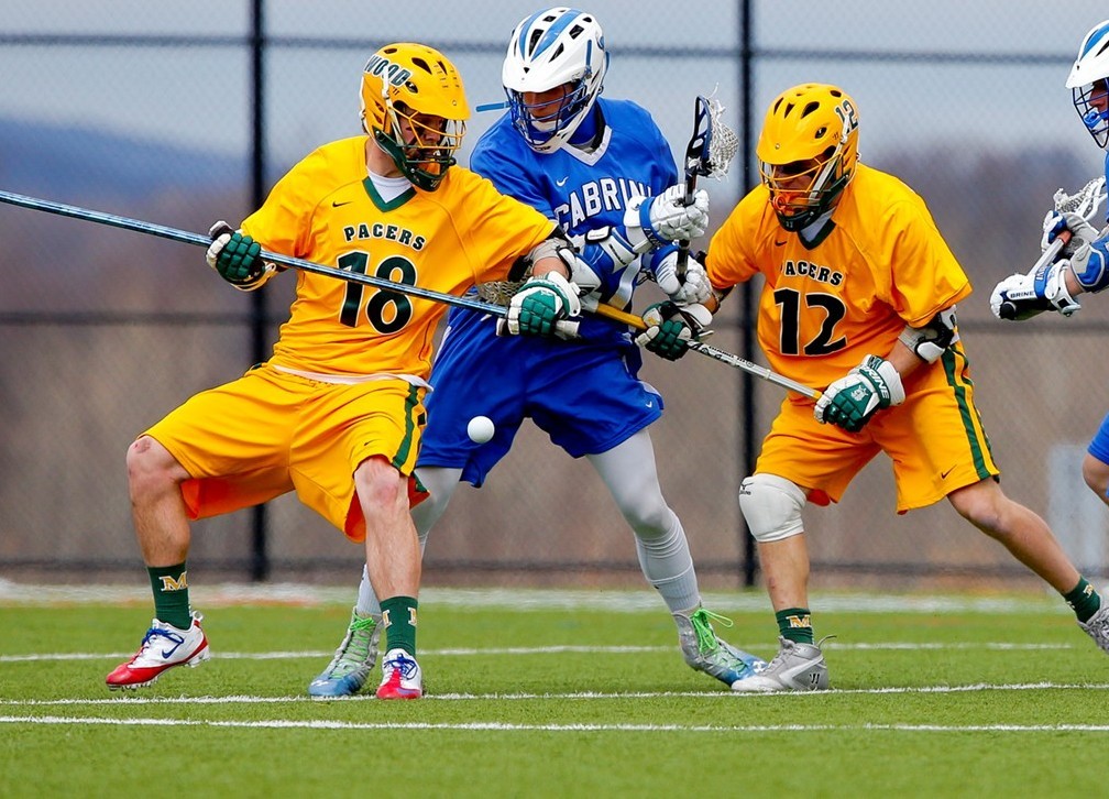 Michael Squillante - Men's Lacrosse - Marywood University Athletics