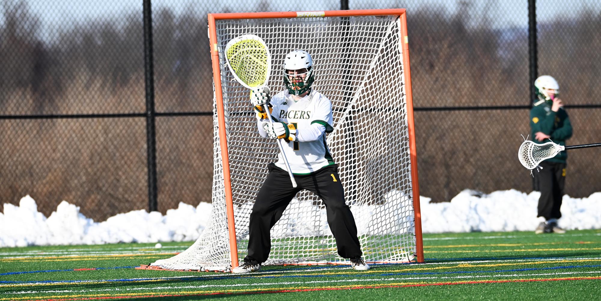 Connor Reed - Men's Lacrosse - Marywood University Athletics