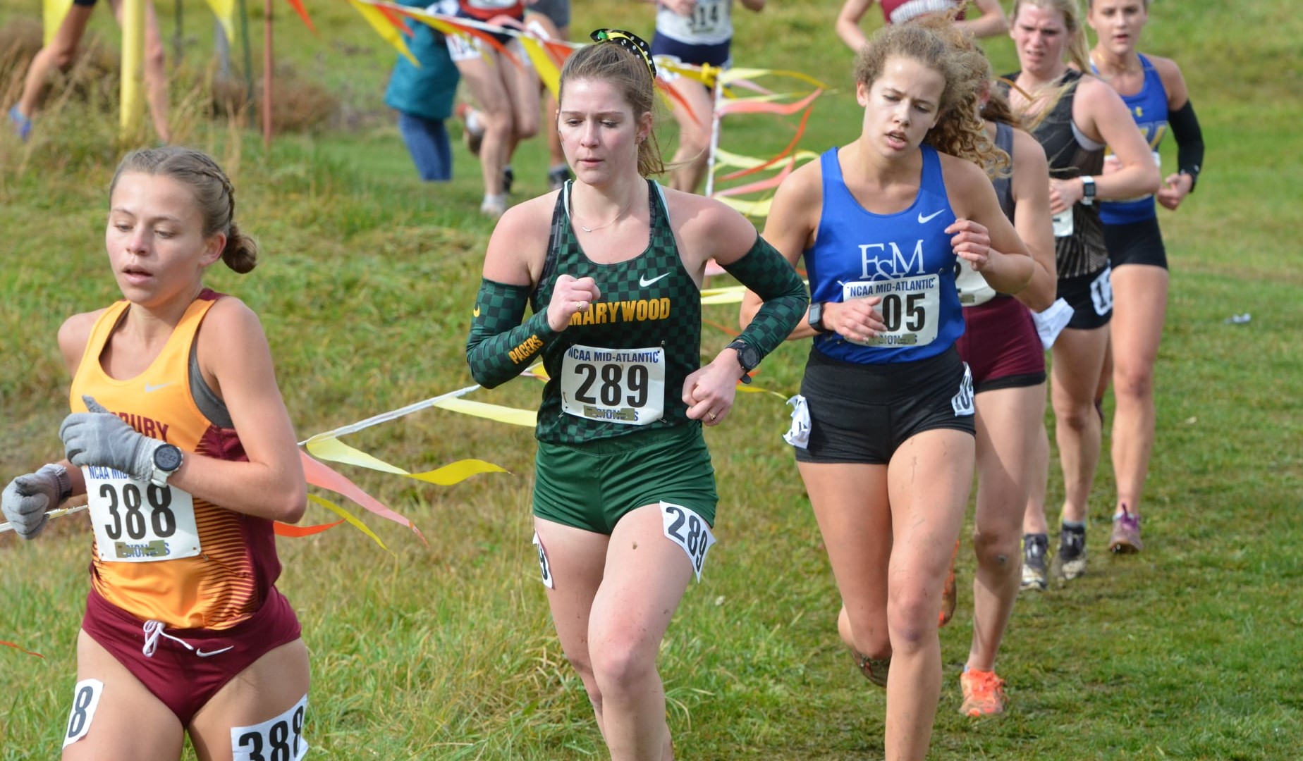Katie Shea - Women's Cross Country - Marywood University Athletics