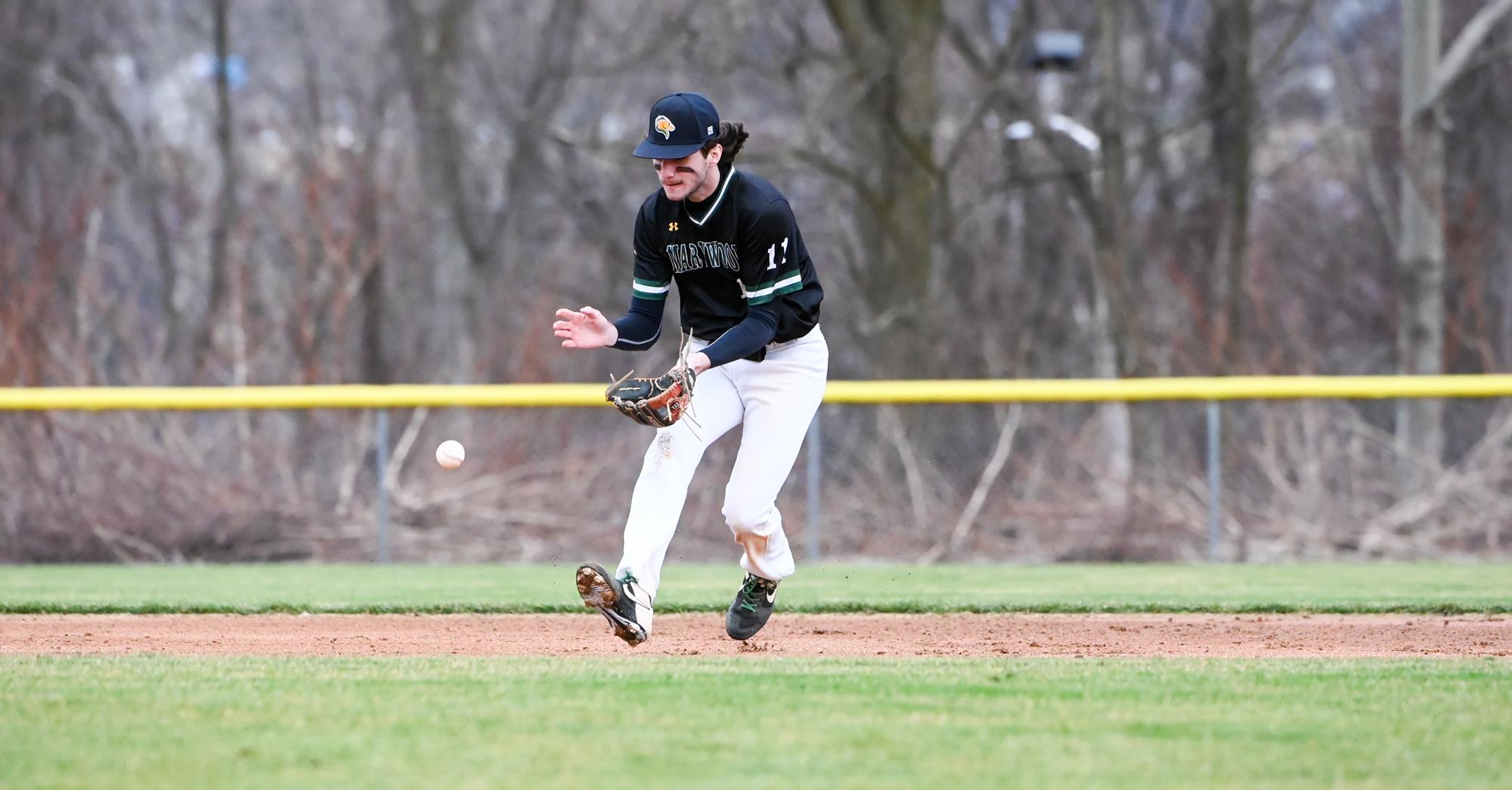Vinny D'Auria - Baseball - Marywood University Athletics