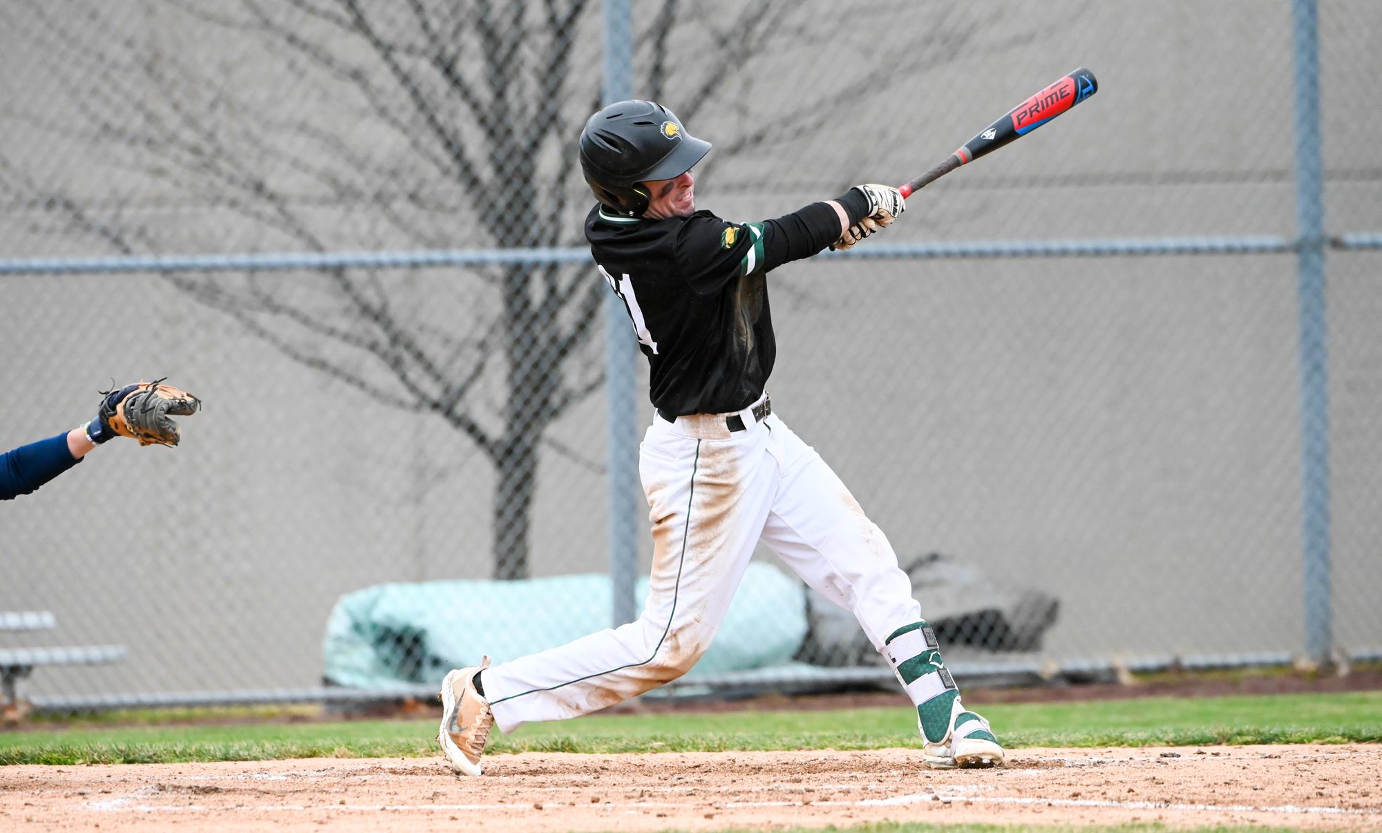 Quinton Roma - Baseball - Marywood University Athletics