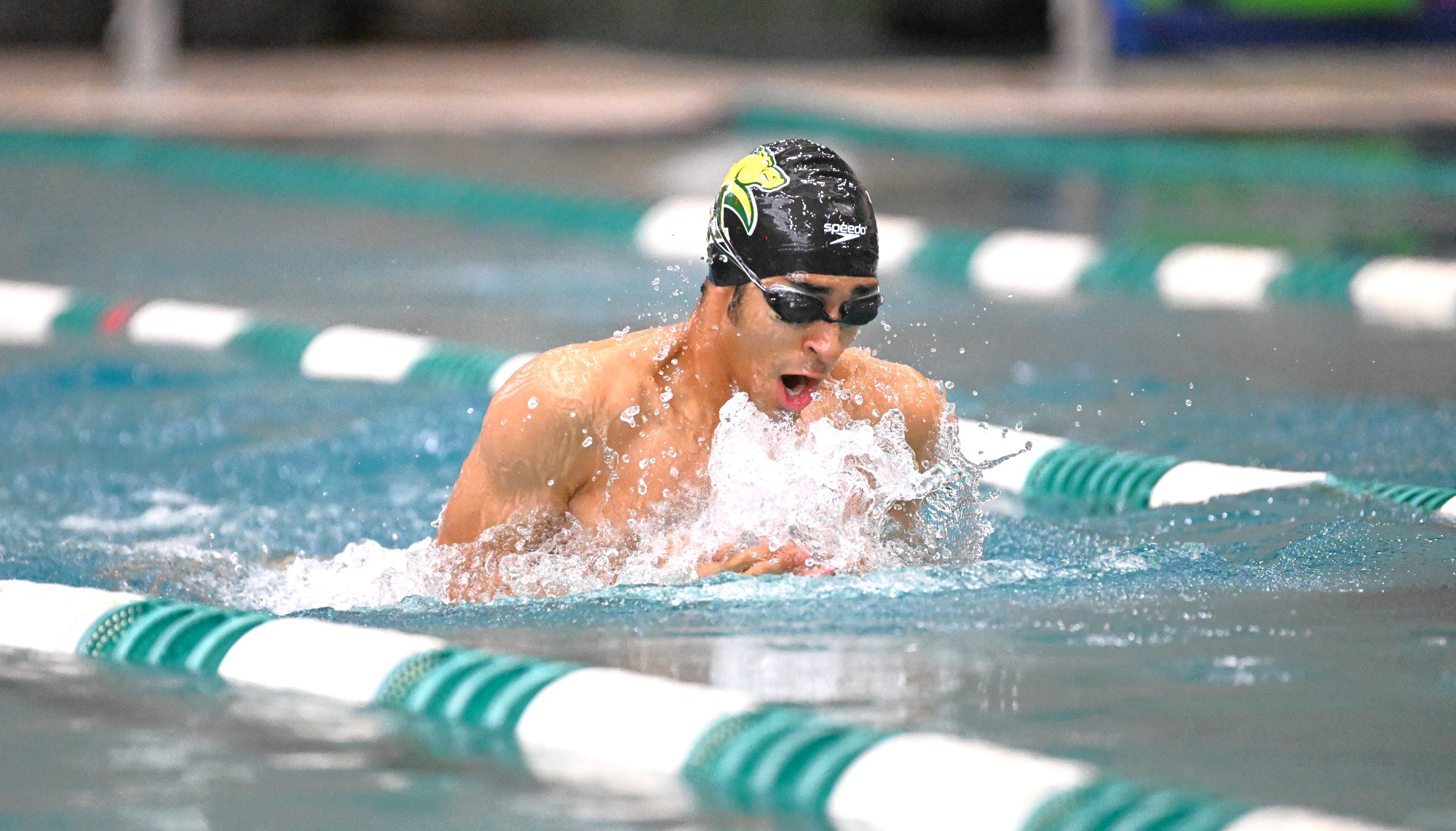 Jeremiah Aries - Men's Swimming and Diving - Marywood University Athletics