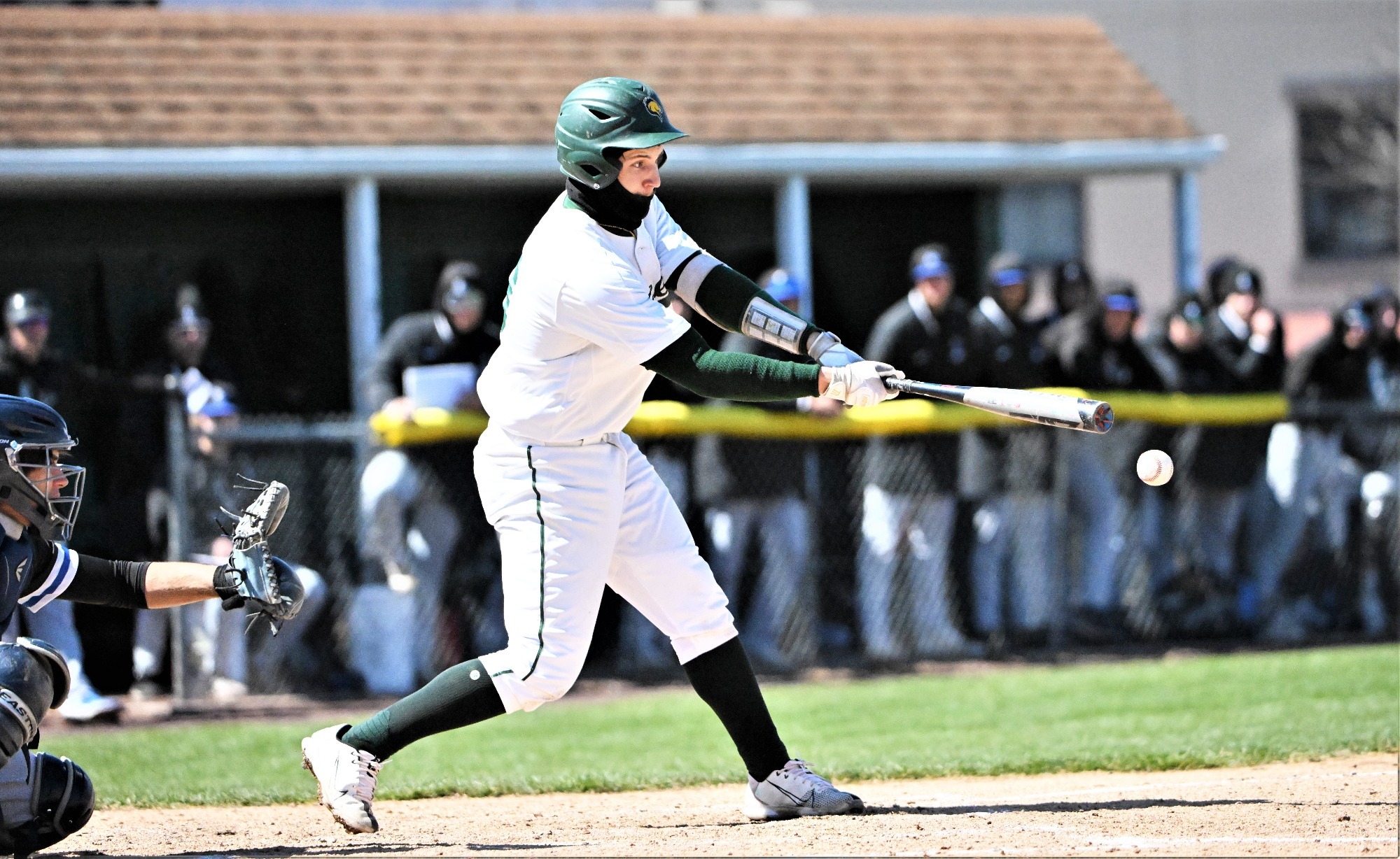 Bruno Hits First Cycle in School History - Marywood University Athletics