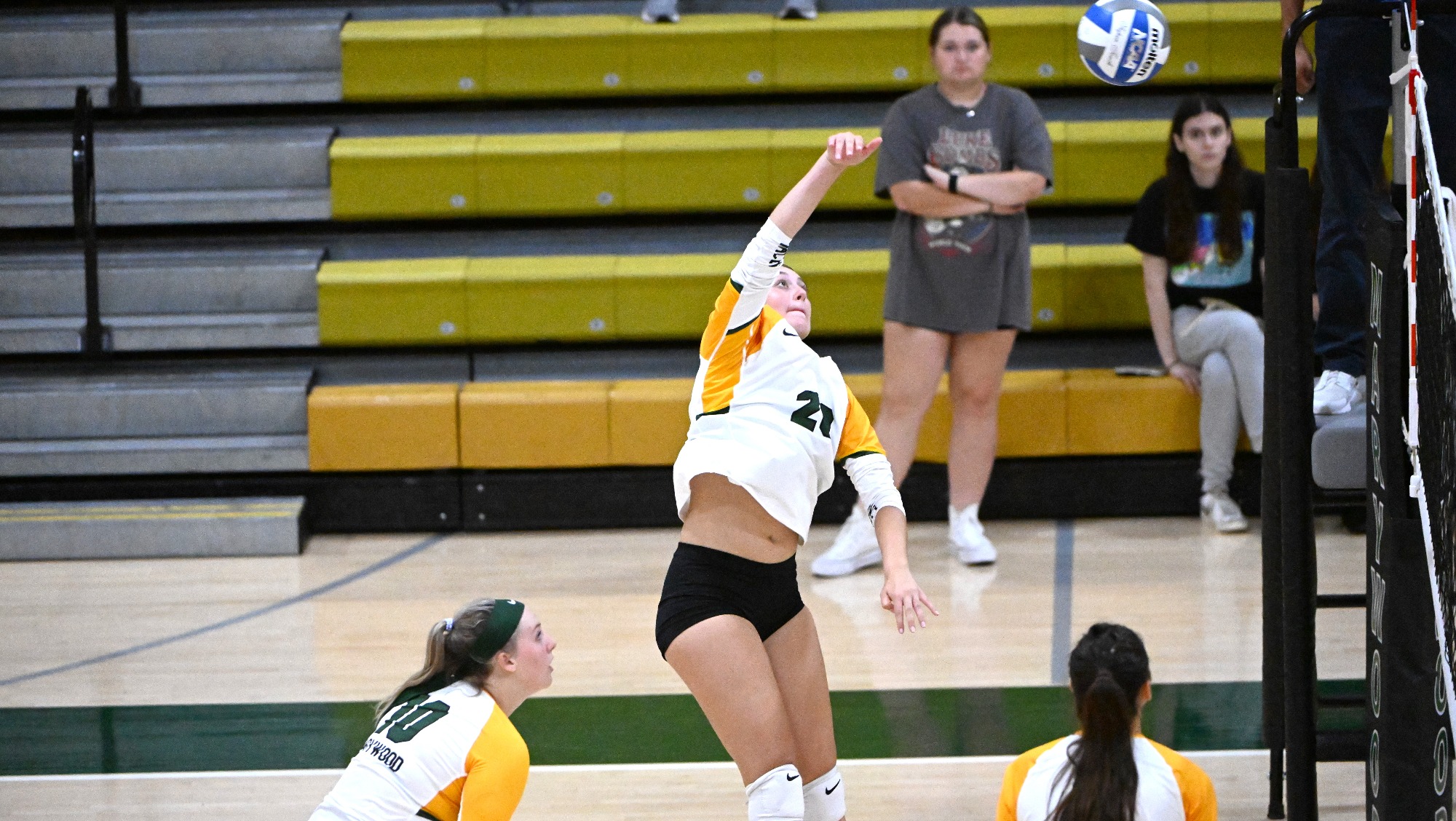 Haley Hallman - Women's Volleyball - Marywood University Athletics