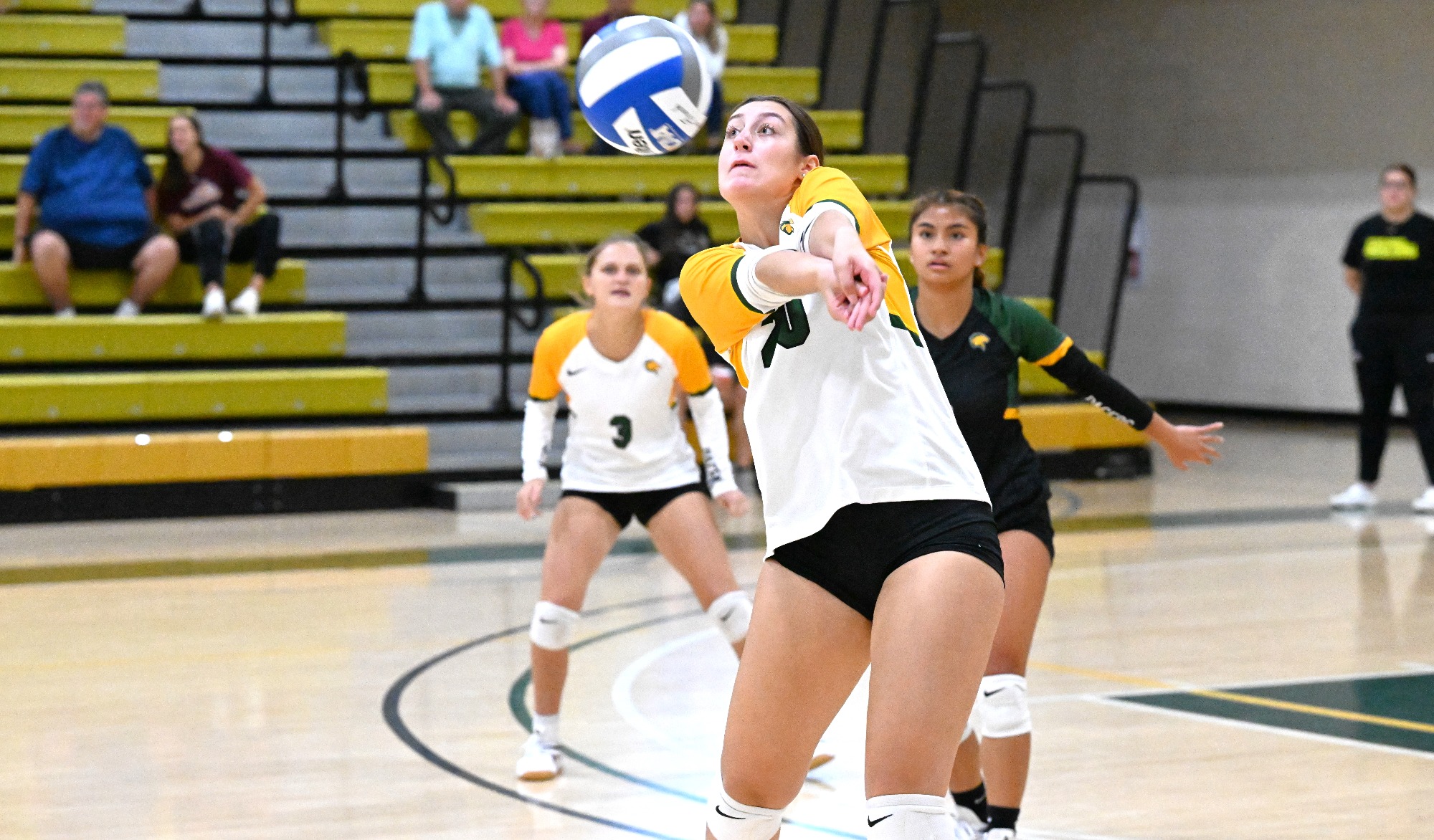 Haley Hallman - Women's Volleyball - Marywood University Athletics