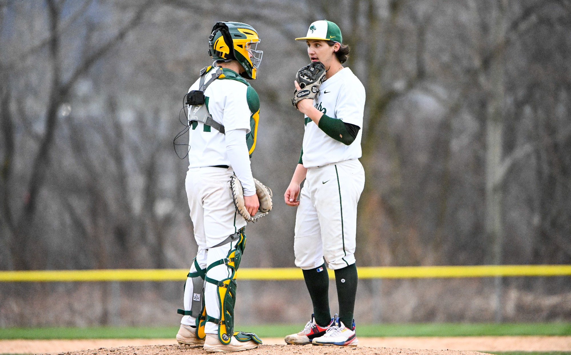 Joseph Bruno - Baseball - Marywood University Athletics