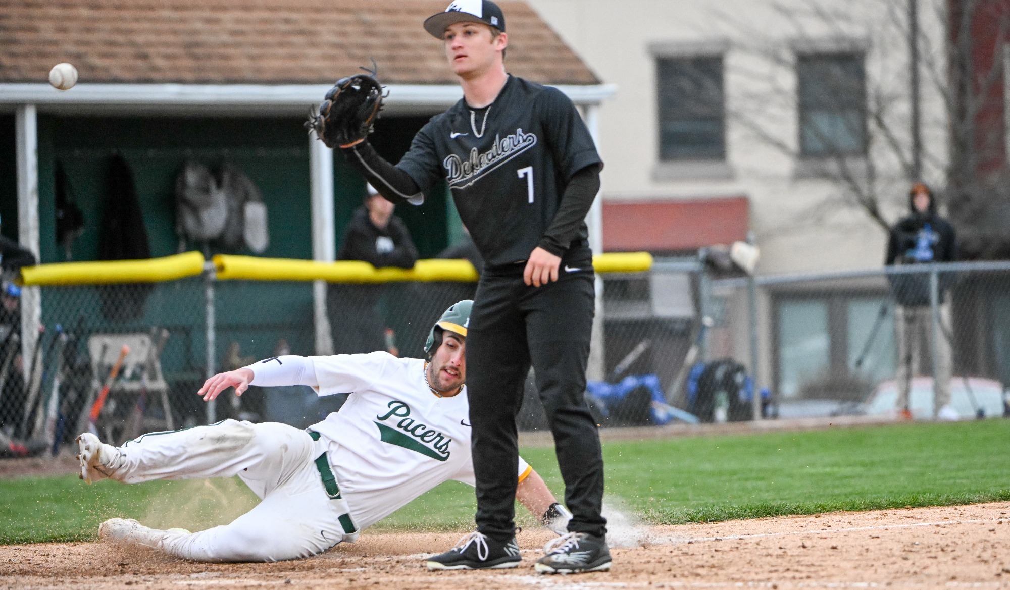 Mike Nocero - Baseball - Marywood University Athletics