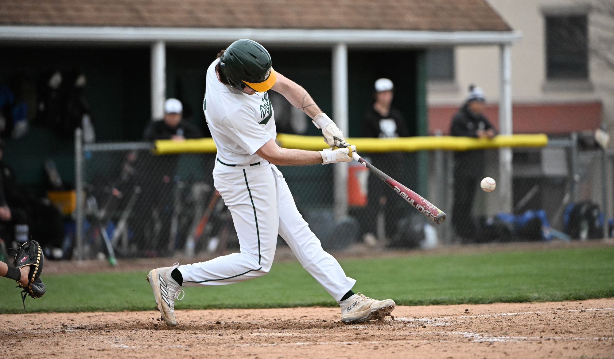 Vinny D'Auria - Baseball - Marywood University Athletics