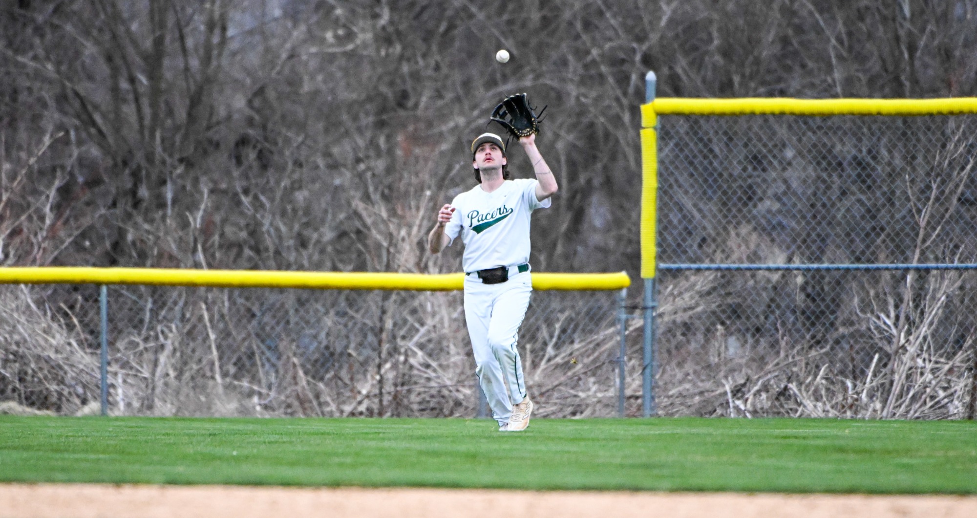 Vinny D'Auria - Baseball - Marywood University Athletics