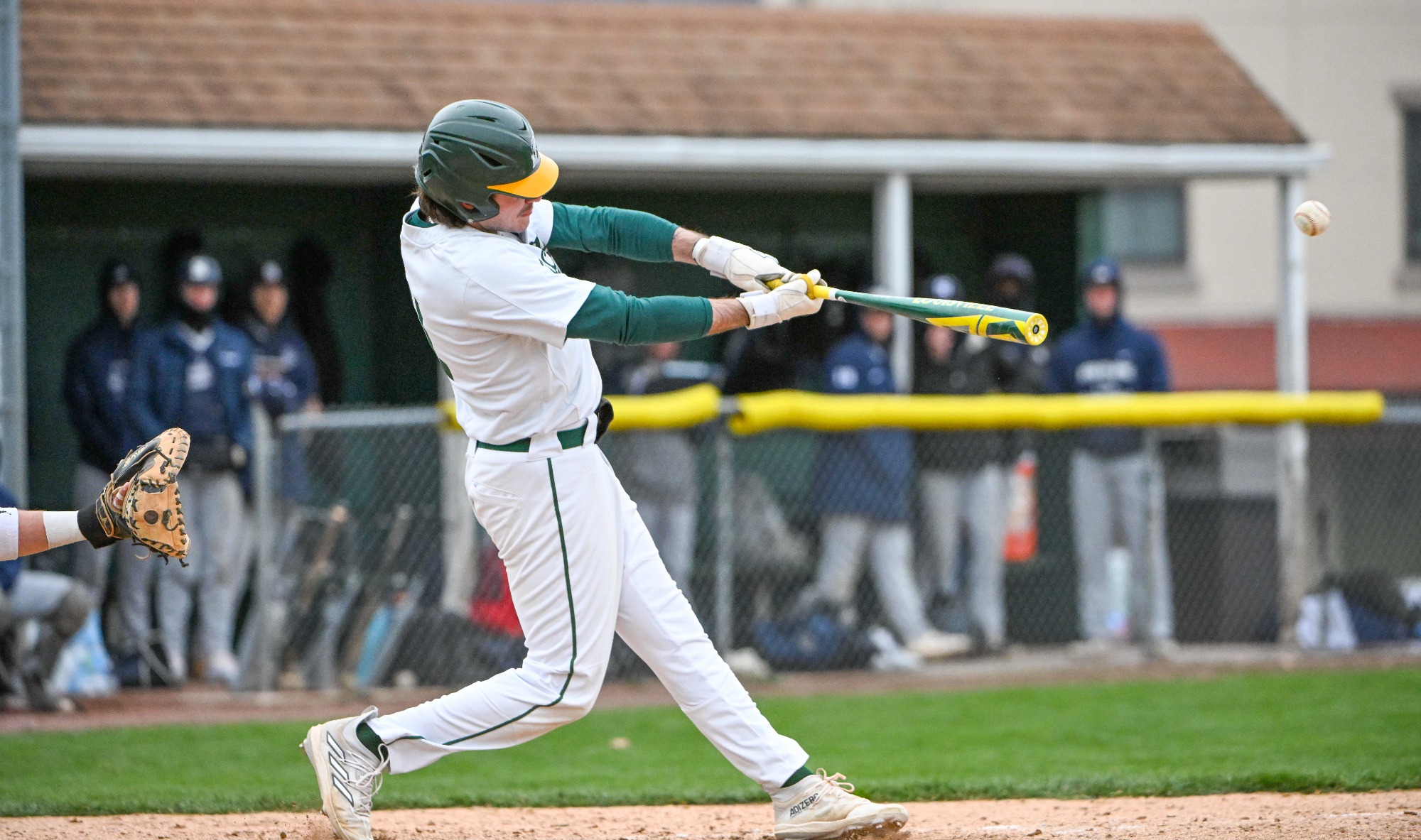 Vinny D'Auria - Baseball - Marywood University Athletics
