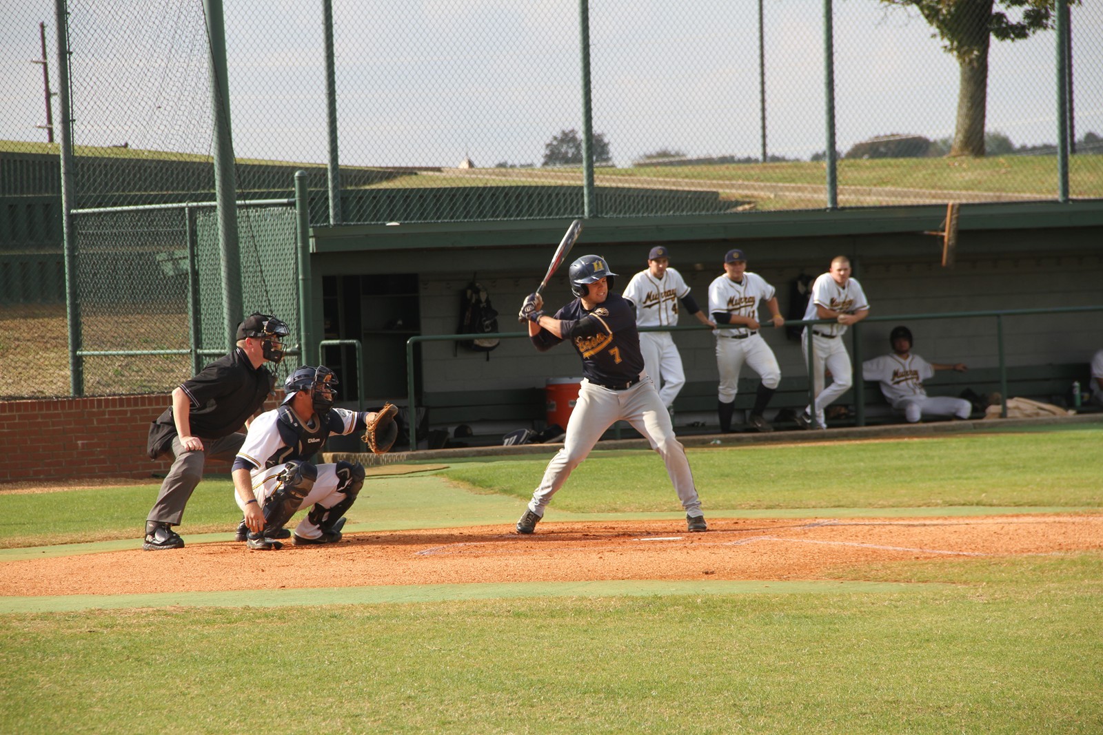 Taylor Mathews - Baseball - Murray State University Athletics