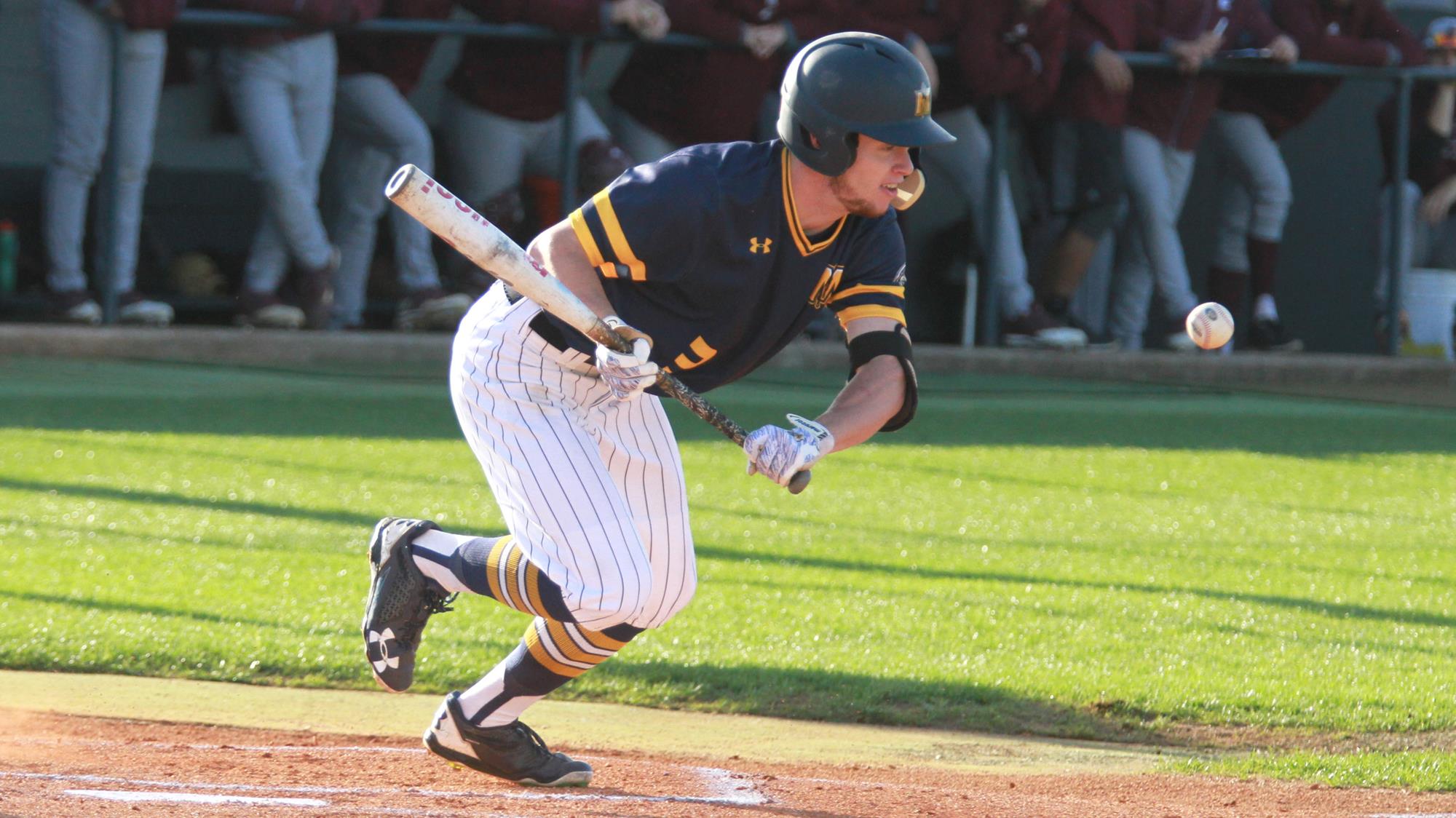 Aaron Bence - Baseball - Murray State University Athletics
