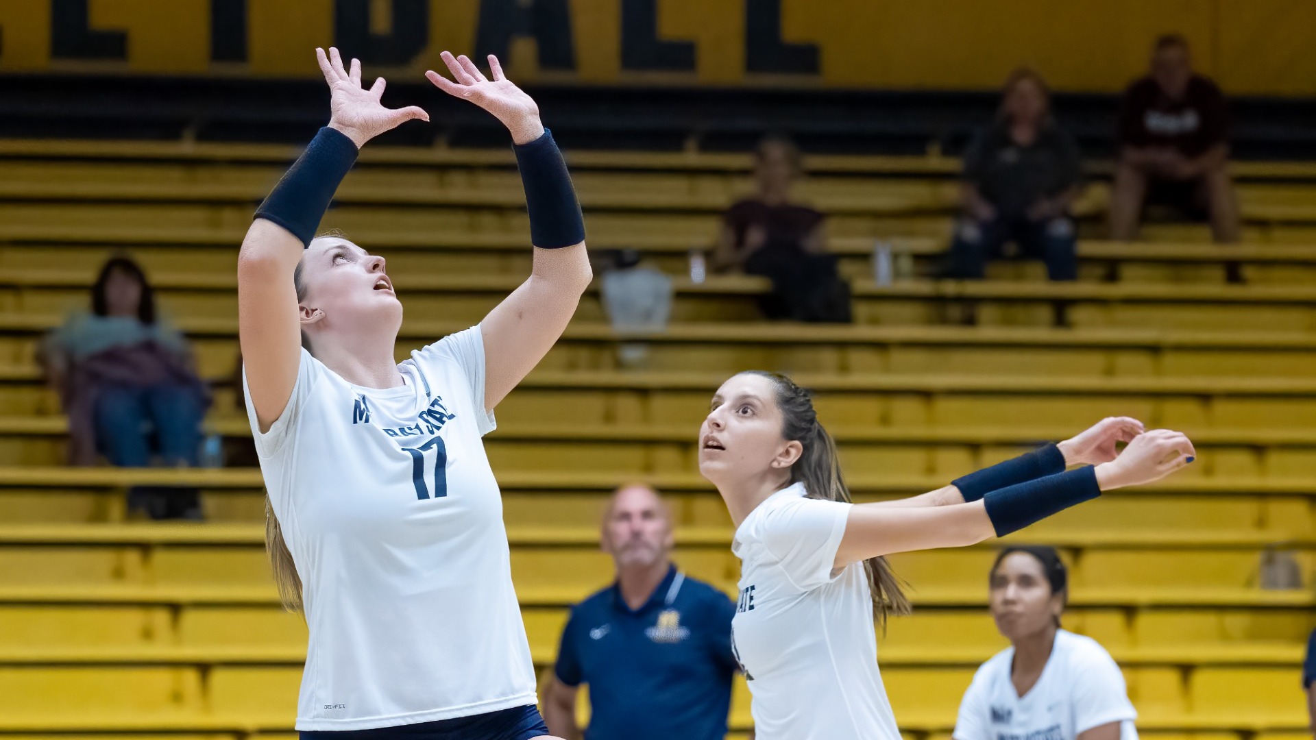 Bailey DeMier - Women's Volleyball - Murray State University Athletics