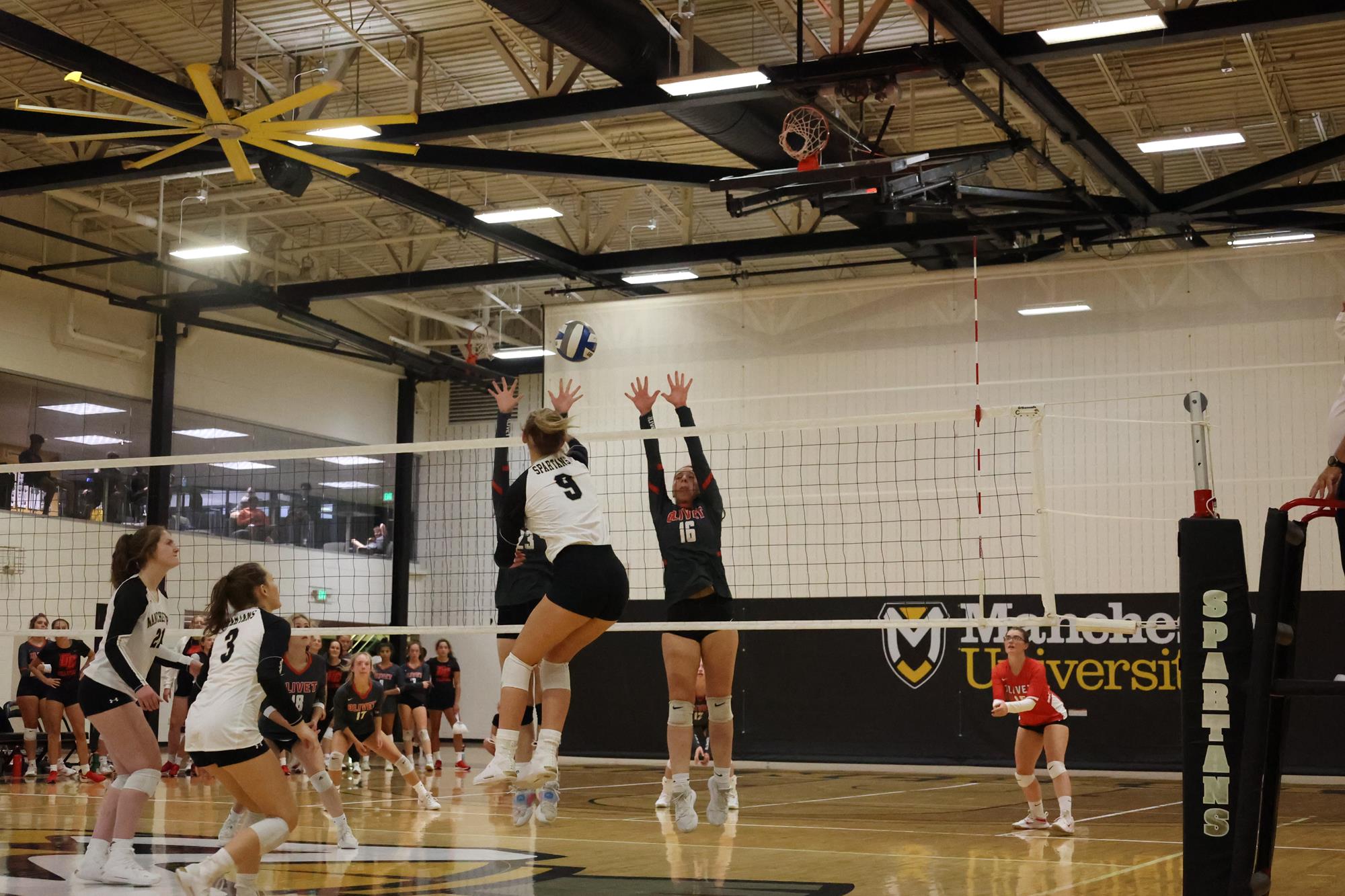 Matty Hoffman - 2022 - Women's Volleyball - Manchester University