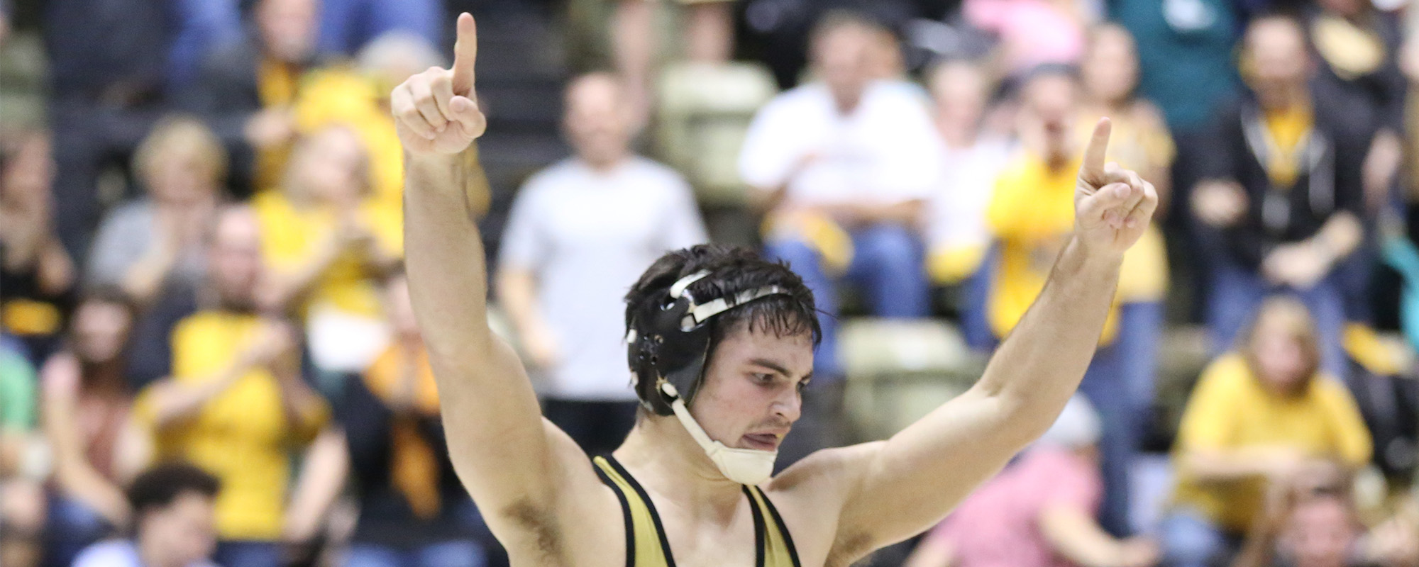 Matt Manley - Wrestling - University of Missouri Athletics