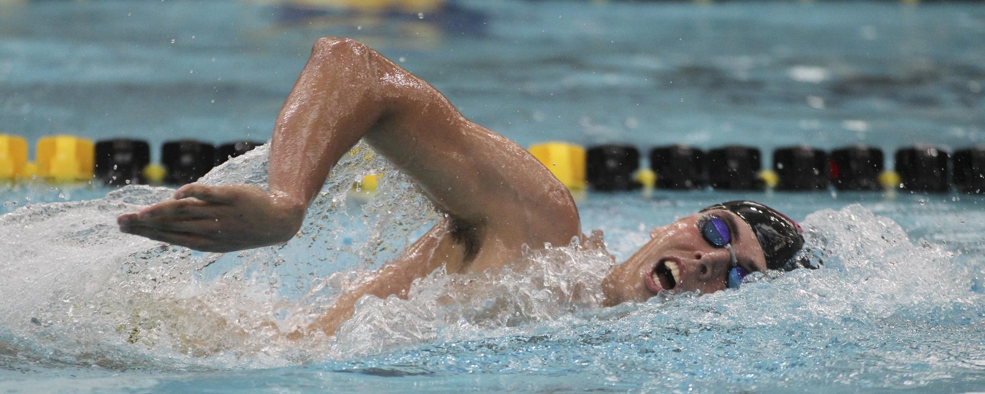 Mikel Schreuders - Men's Swimming and Diving - University of Missouri ...