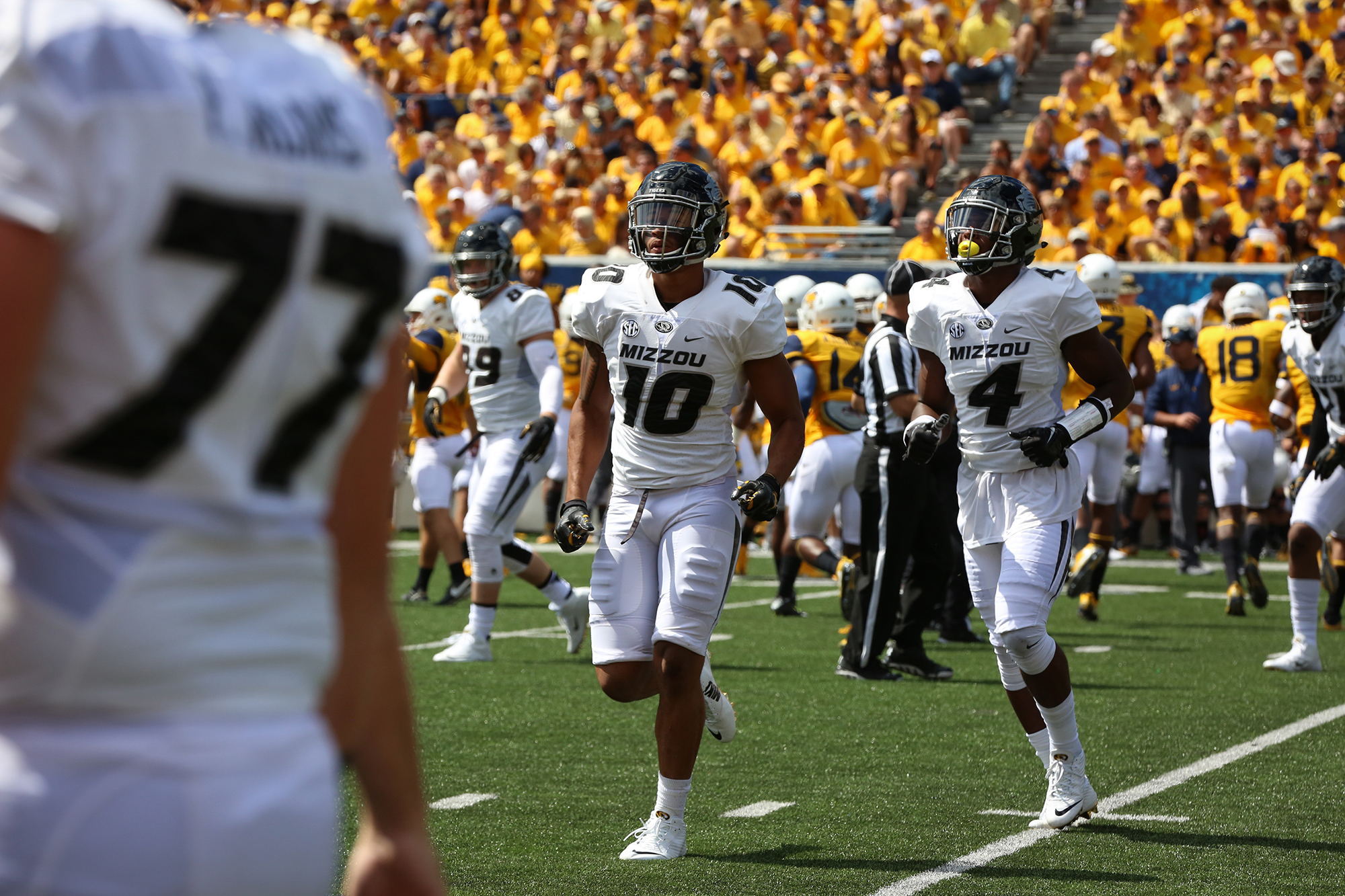Jason Reese - Football - University of Missouri Athletics