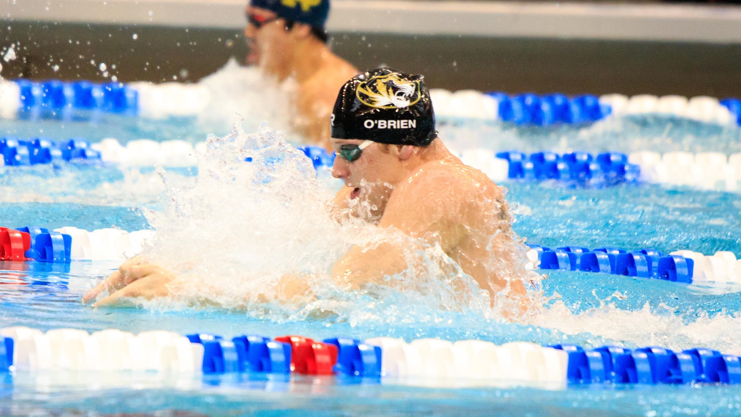 Jordan O'Brien - Men's Swimming and Diving - University of Missouri ...