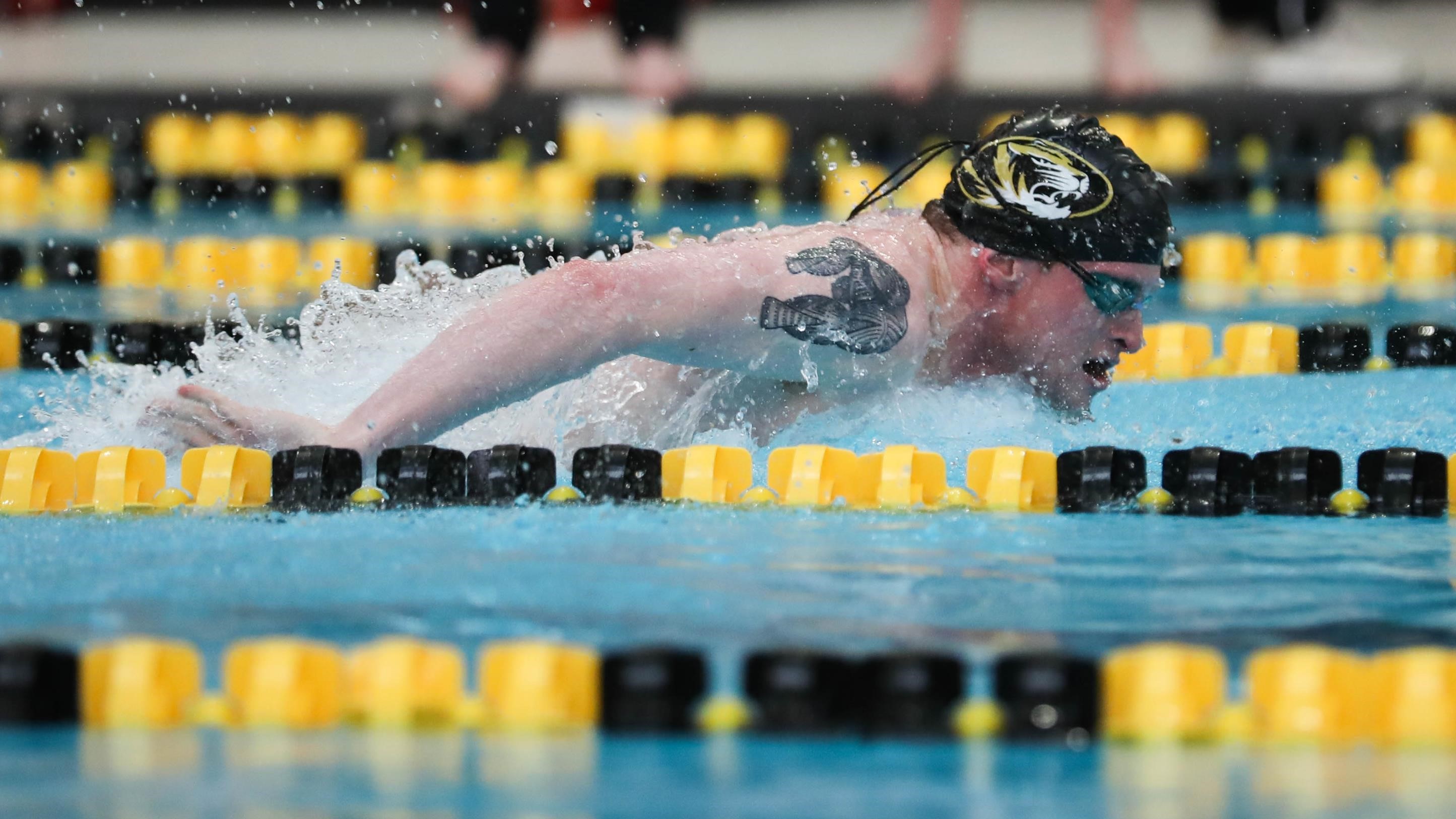 Luke Mankus - Men's Swimming and Diving - University of Missouri Athletics