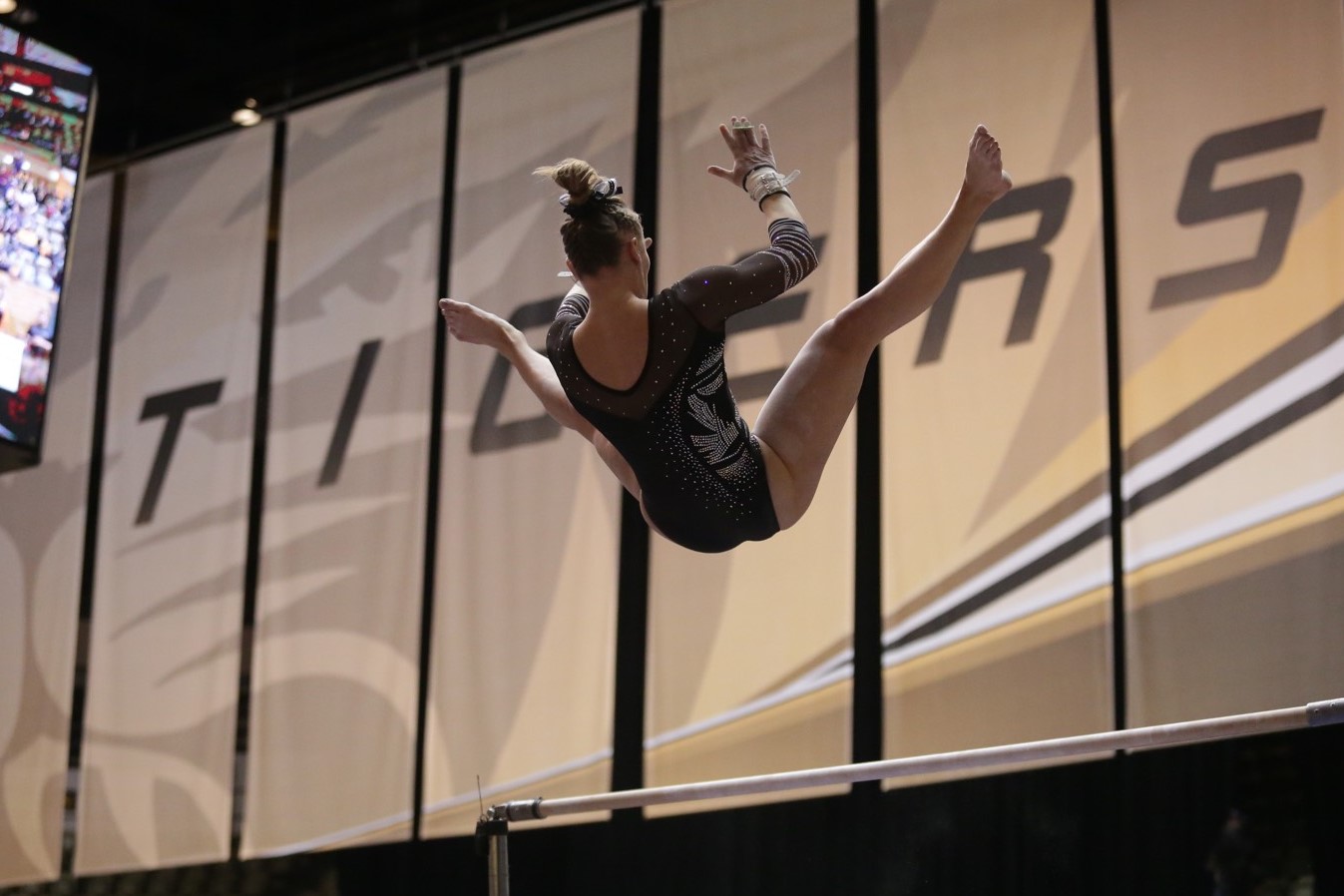 Morgan Porter - Gymnastics - University of Missouri Athletics