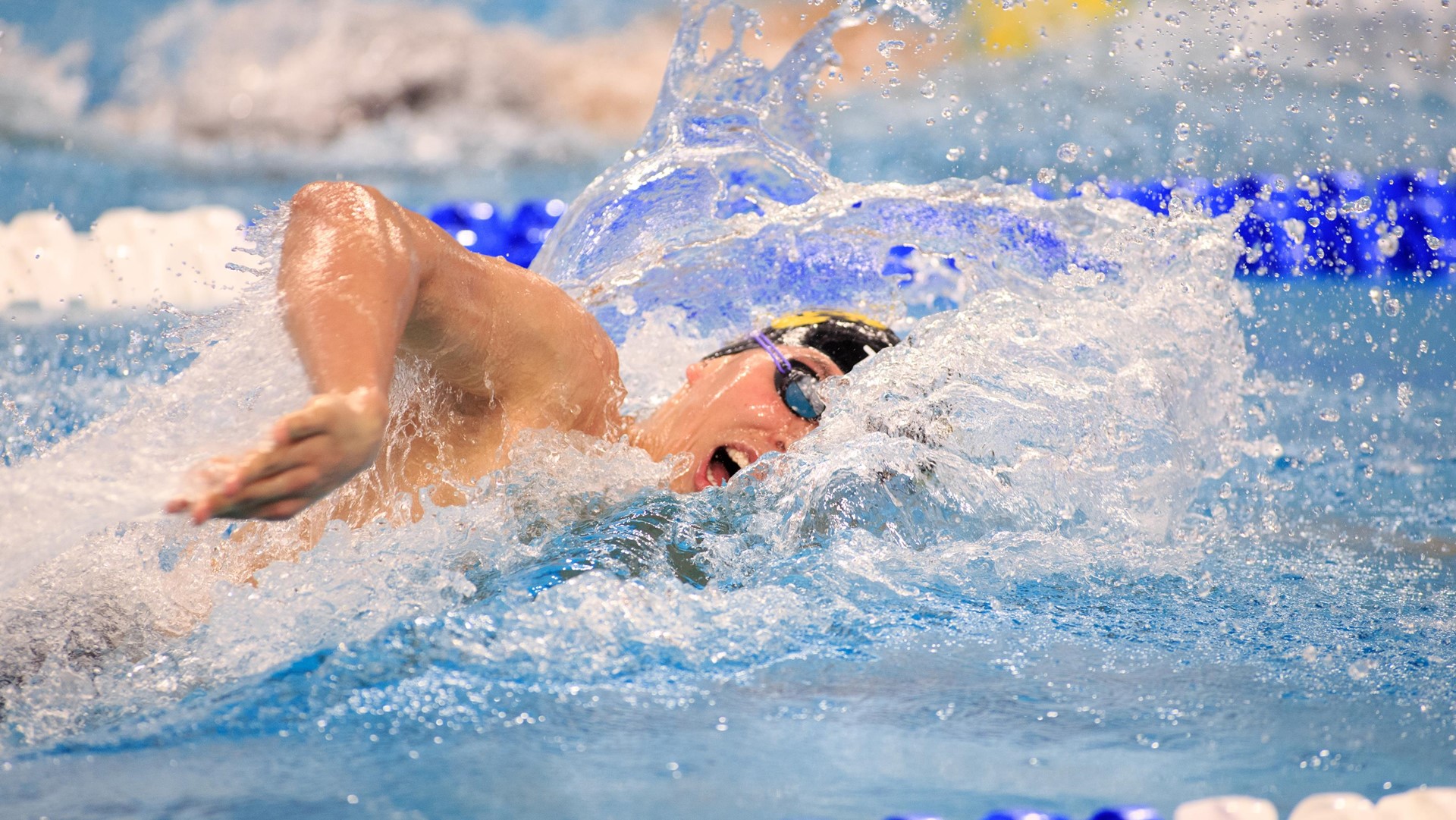 Mikel Schreuders - Men's Swimming and Diving - University of Missouri ...