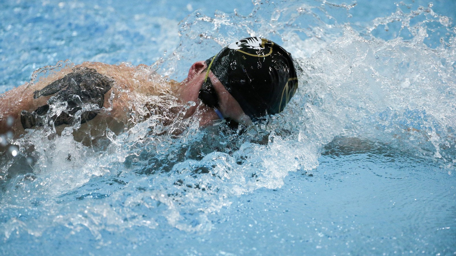 Luke Mankus - Men's Swimming and Diving - University of Missouri Athletics