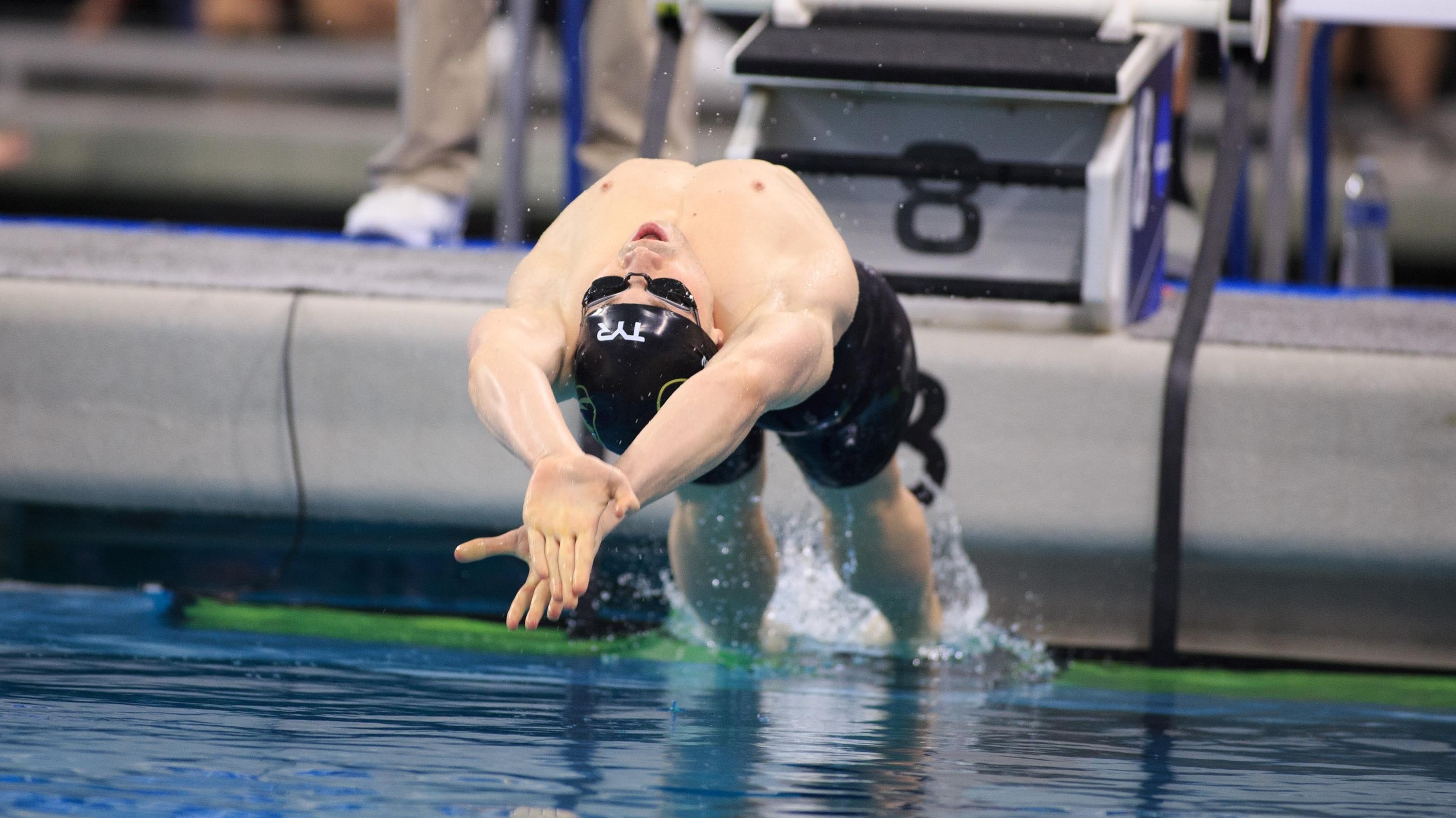 Daniel Hein - Men's Swimming and Diving - University of Missouri Athletics