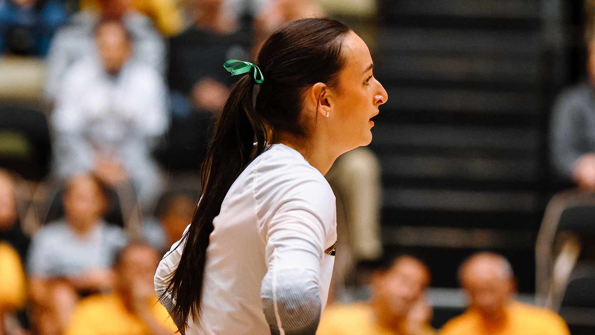 Jordan Iliff - Volleyball - University of Missouri Athletics