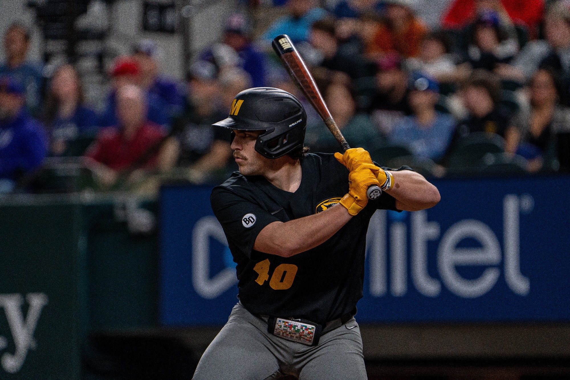 Hank Zeisler - Baseball - University of Missouri Athletics