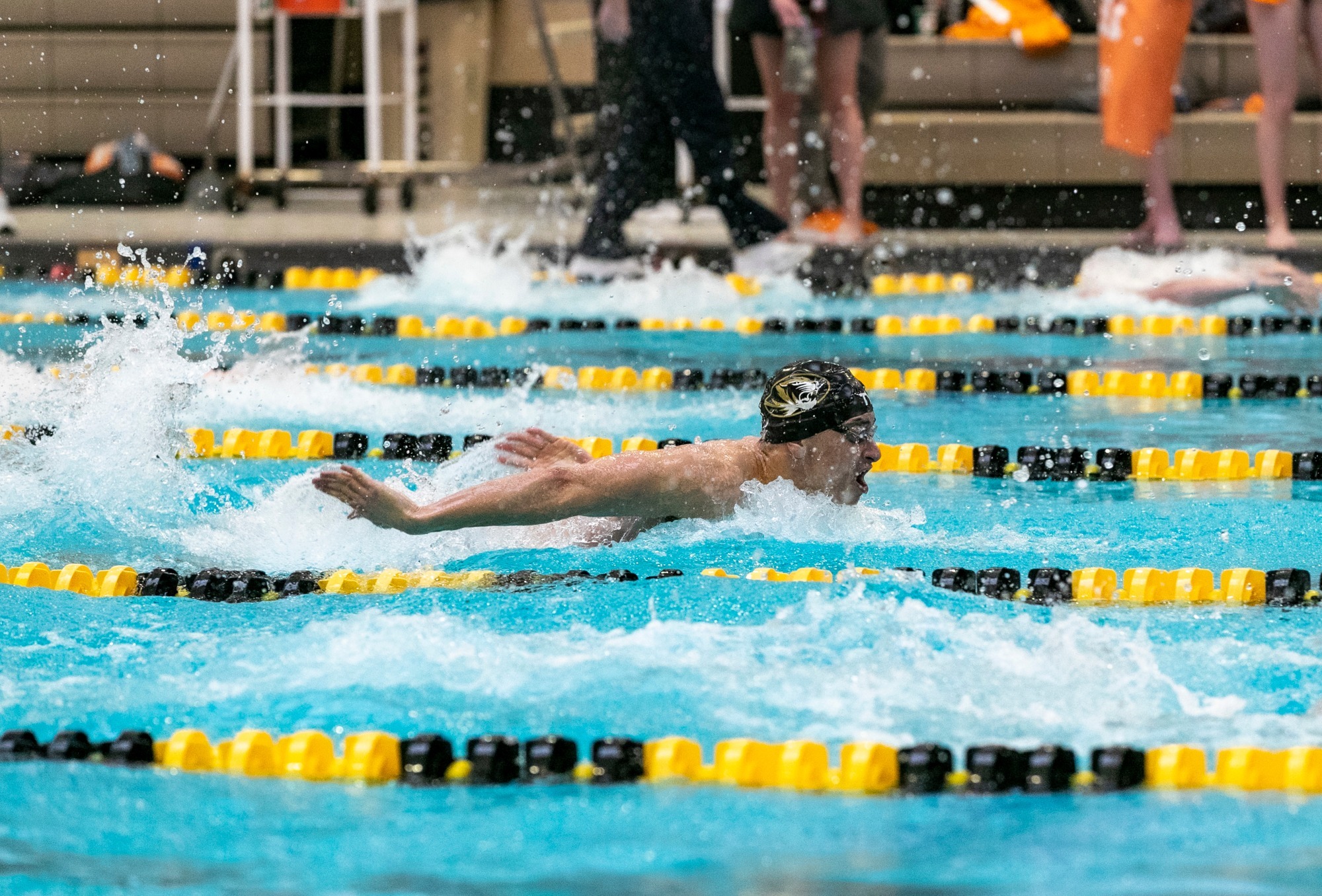 Clement Secchi - Men's Swimming and Diving - University of Missouri ...