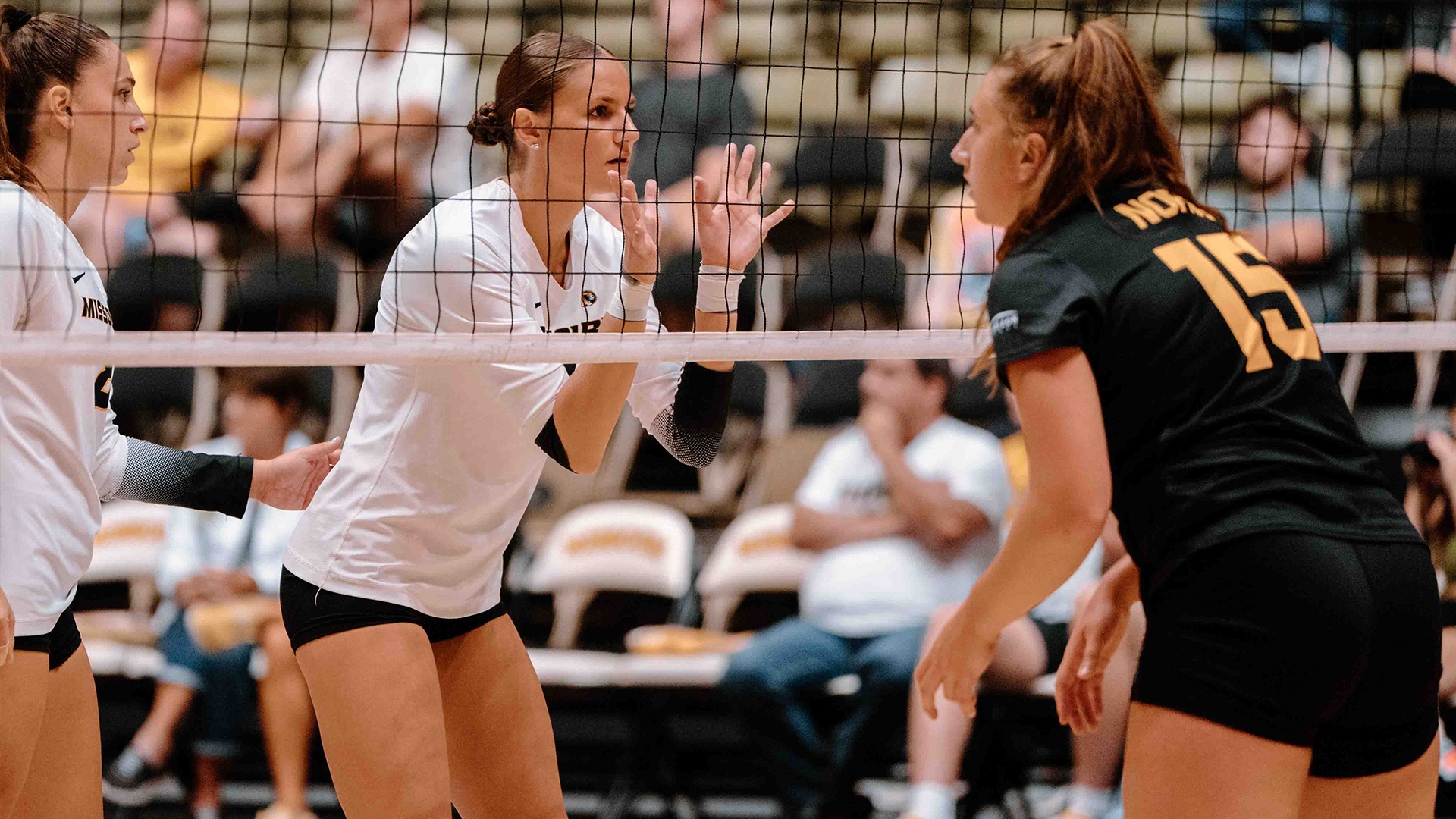 Morgan Isenberg - Volleyball - University of Missouri Athletics