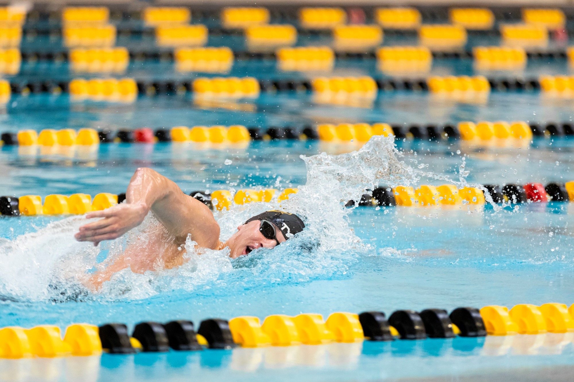 Leo Kurucz - Men's Swimming and Diving - University of Missouri Athletics
