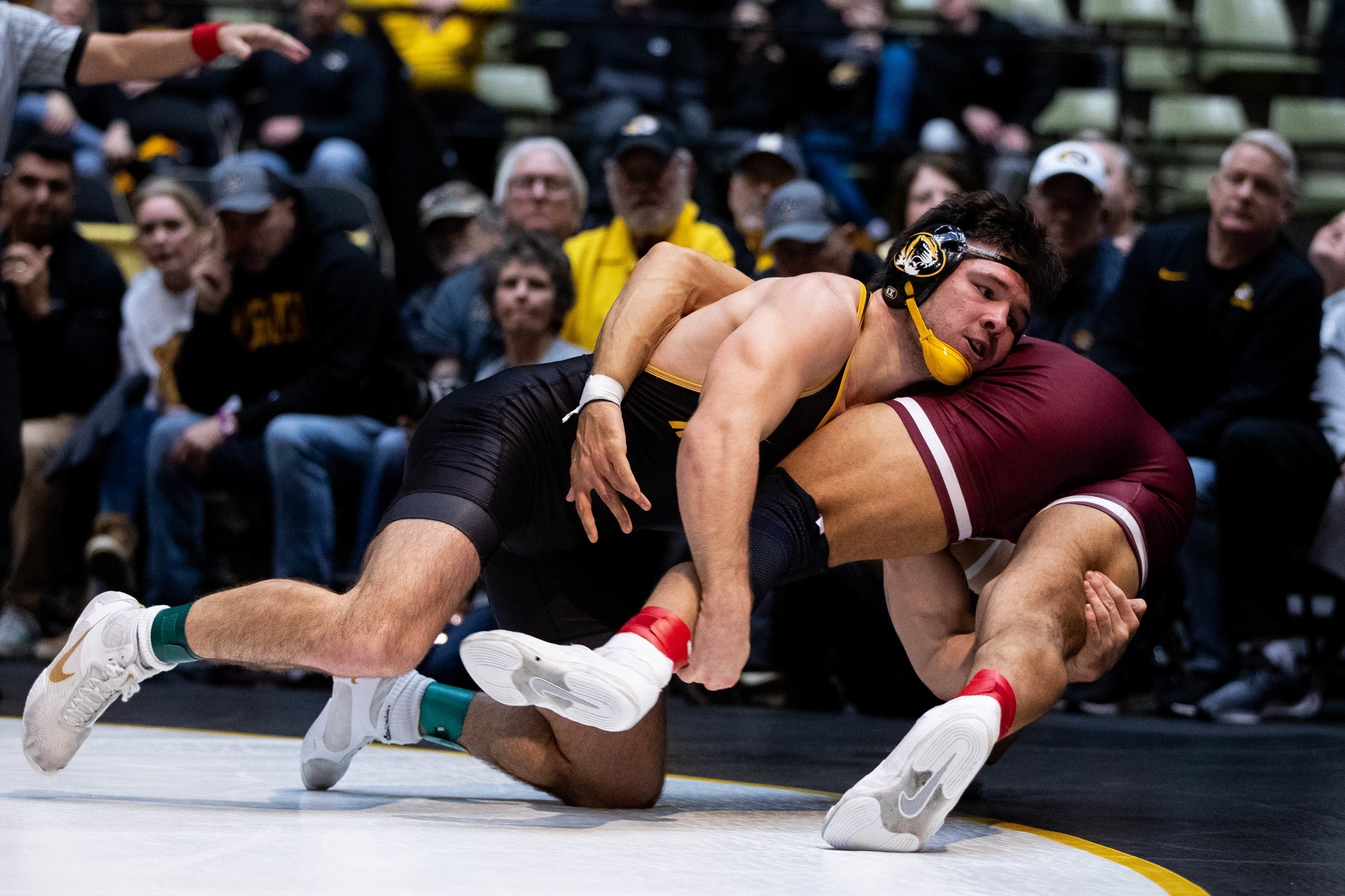 Clayton Whiting - Wrestling - University of Missouri Athletics