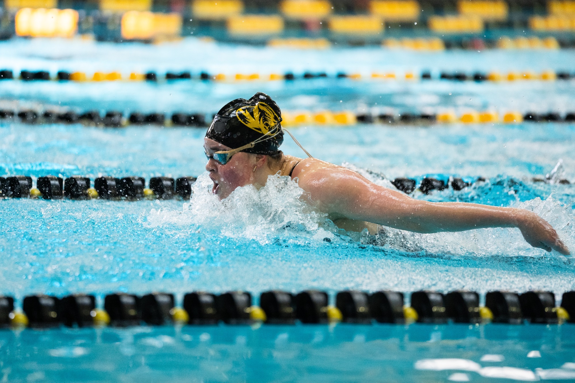 Peyton Drexler - Swimming & Diving - University of Missouri Athletics