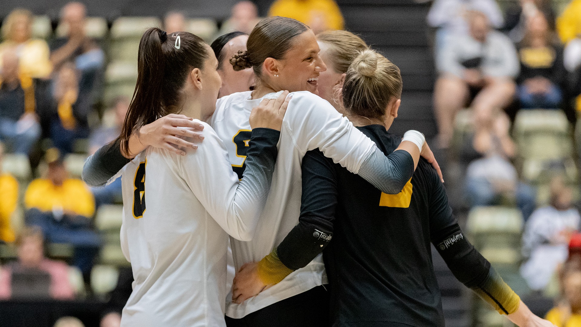 Morgan Isenberg - Volleyball - University of Missouri Athletics