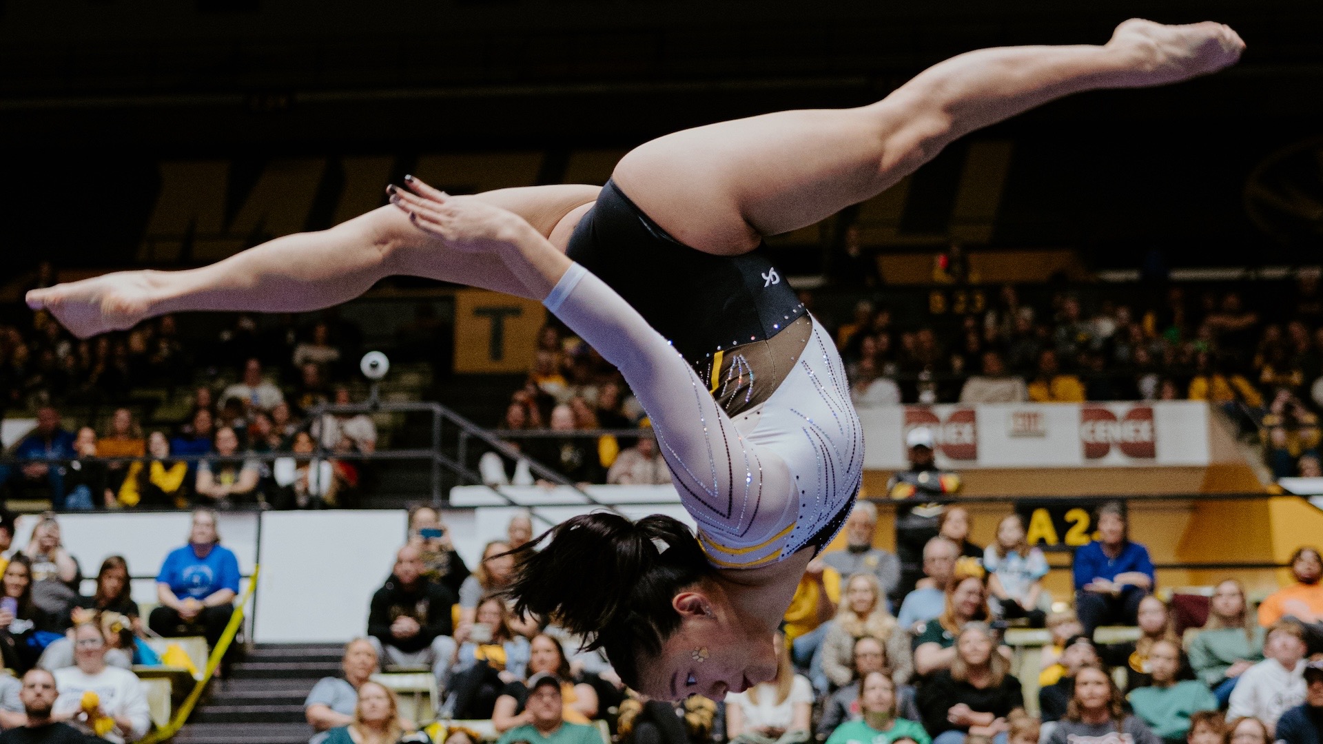 Gymnastics Announces 2025 Schedule - University of Missouri Athletics