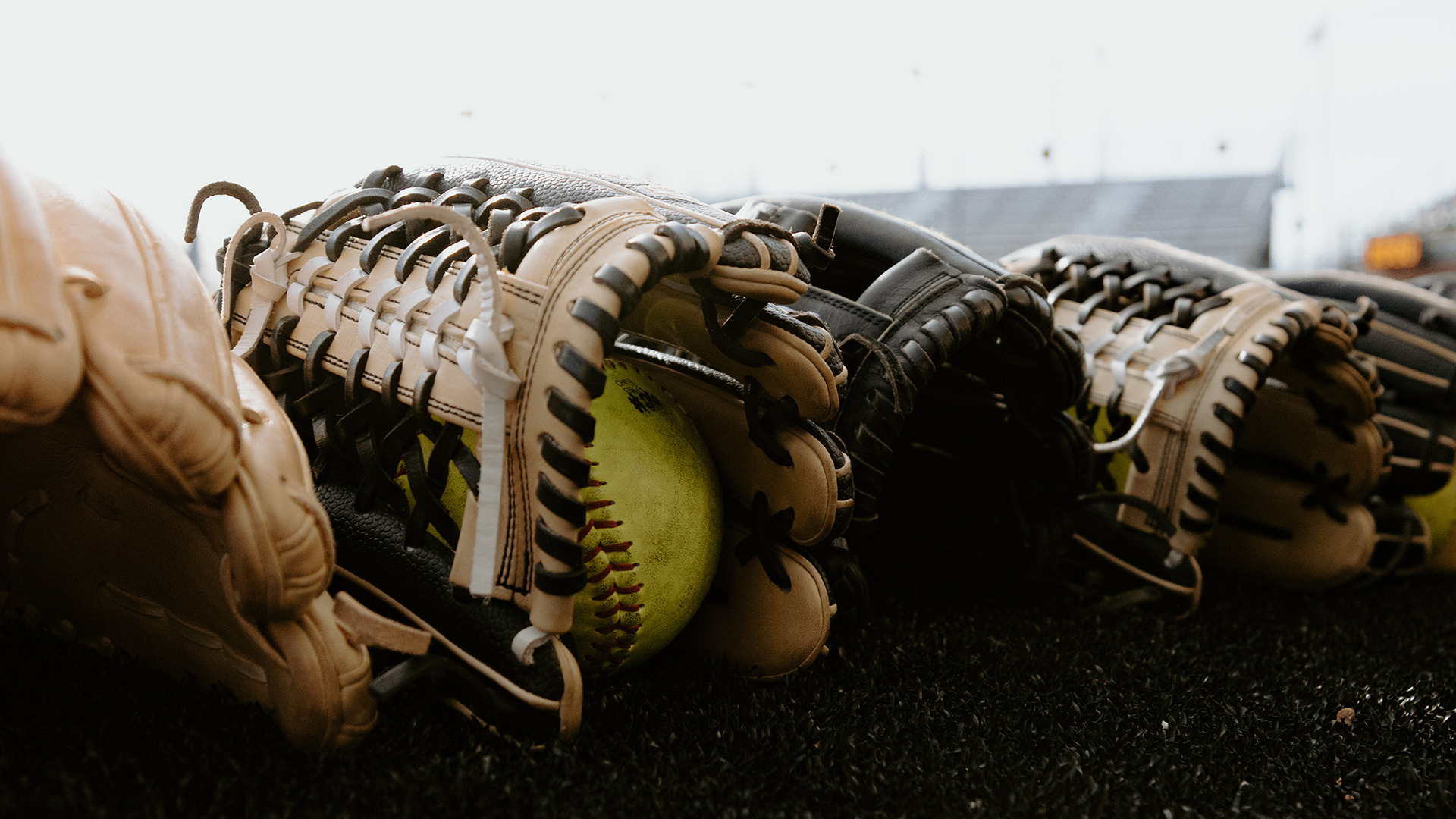 Mizzou Hosts No. 1 Oklahoma as Softball Celebrates 50th Anniversary ...