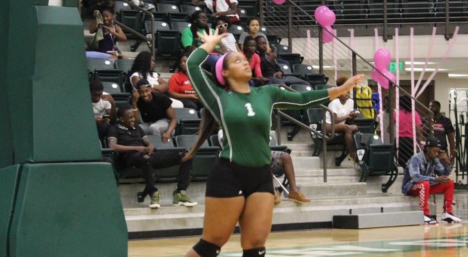 Jessica Bell - 2020-2021 - Women's Volleyball - Mississippi Valley ...