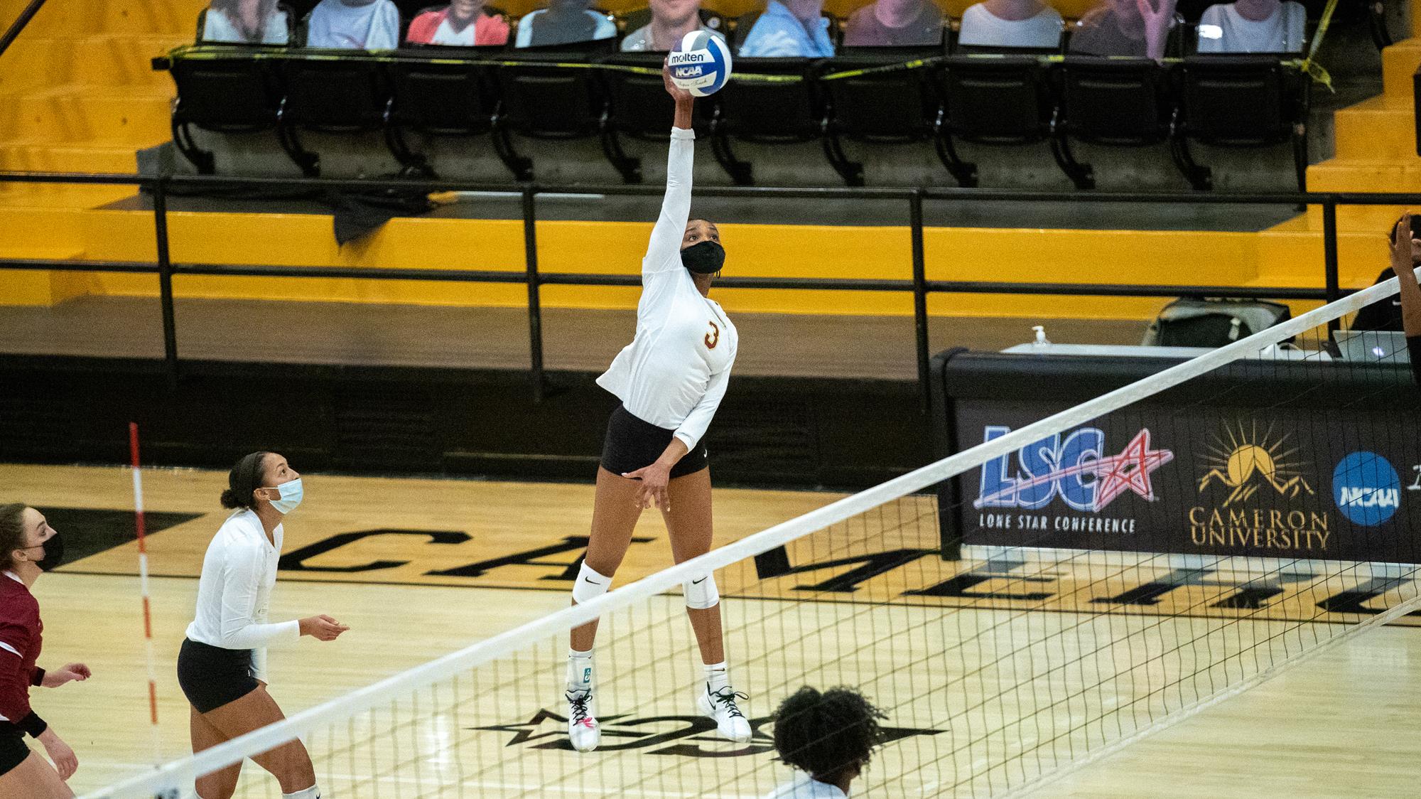 Taylor Anderson - Women's Volleyball - MSU Athletics