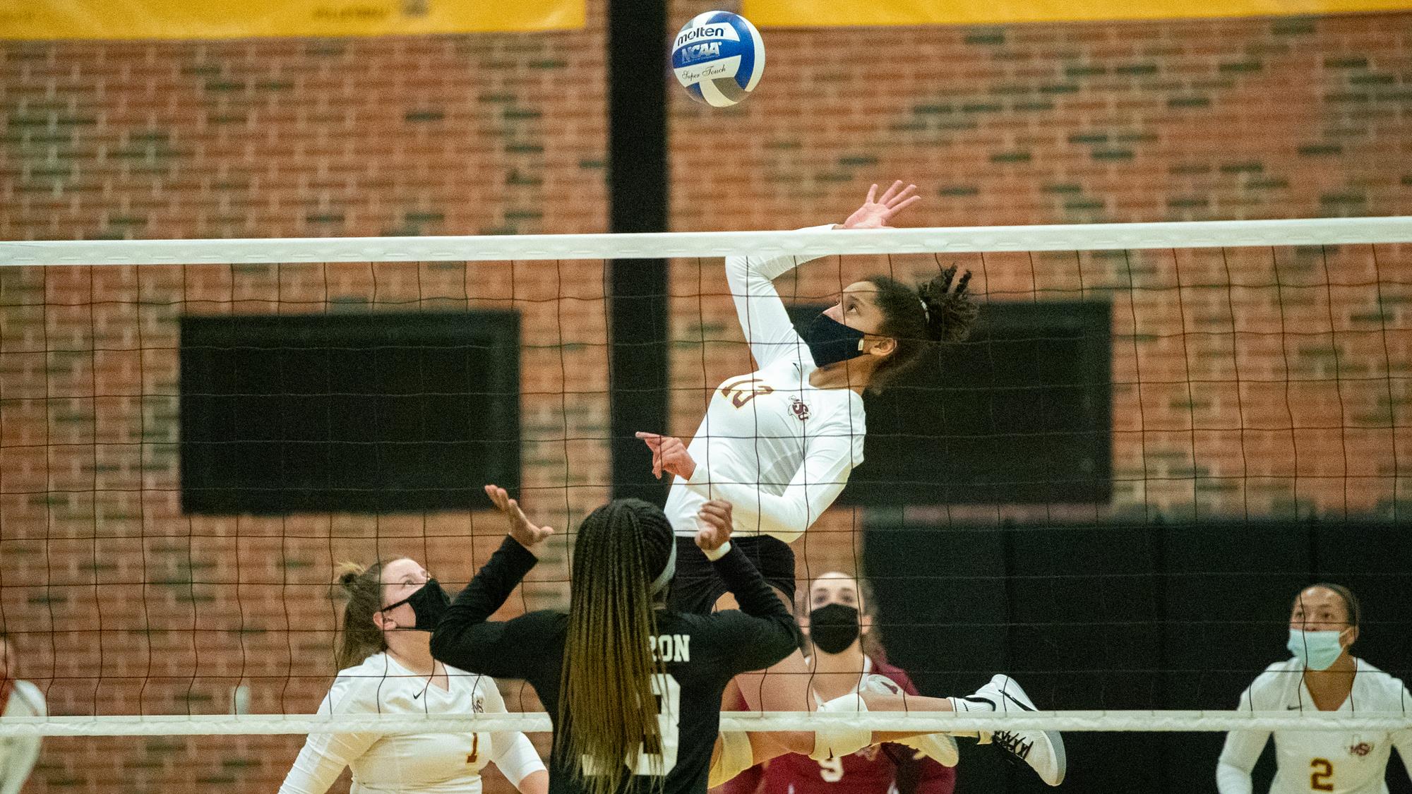 Alyssa Estrada-Hamby - Women's Volleyball - MSU Athletics