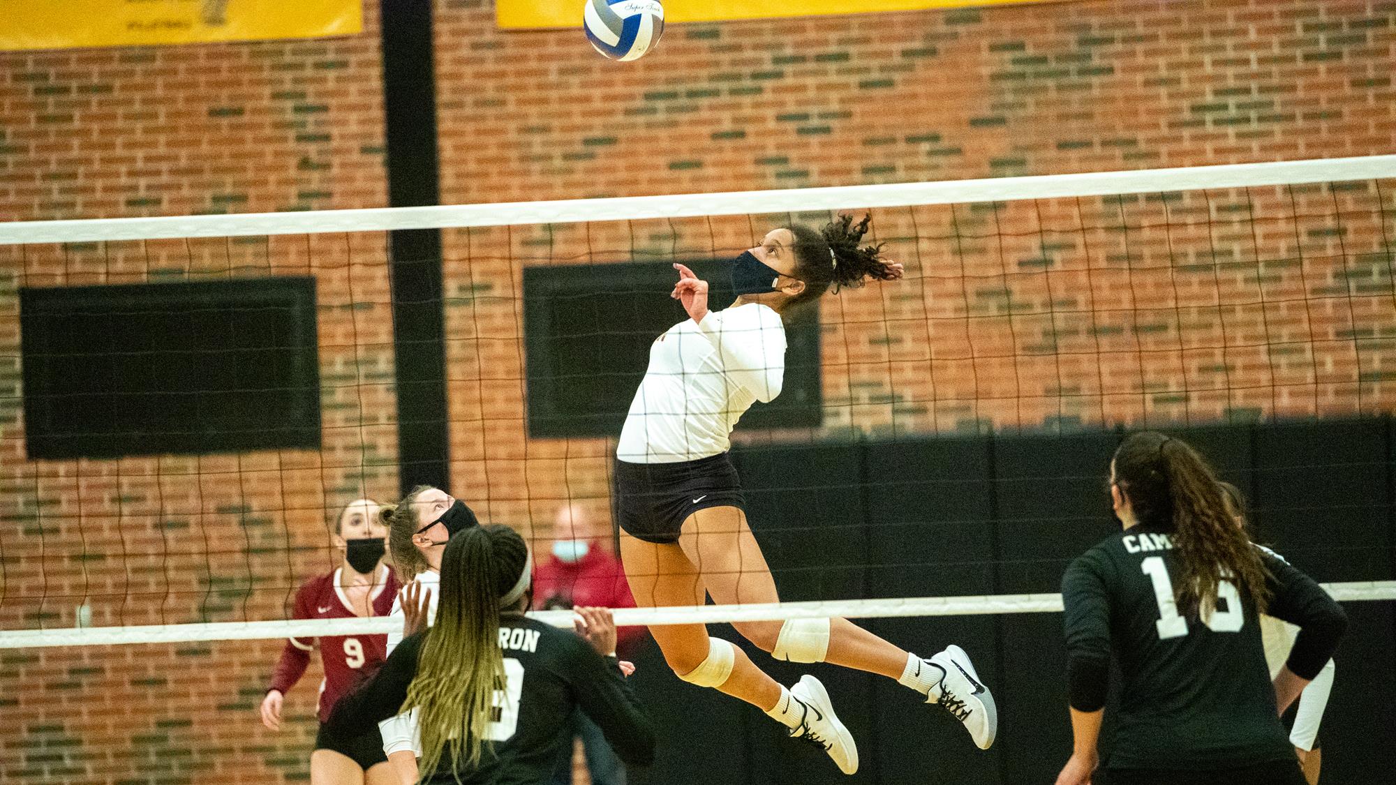 Alyssa Estrada-Hamby - Women's Volleyball - MSU Athletics