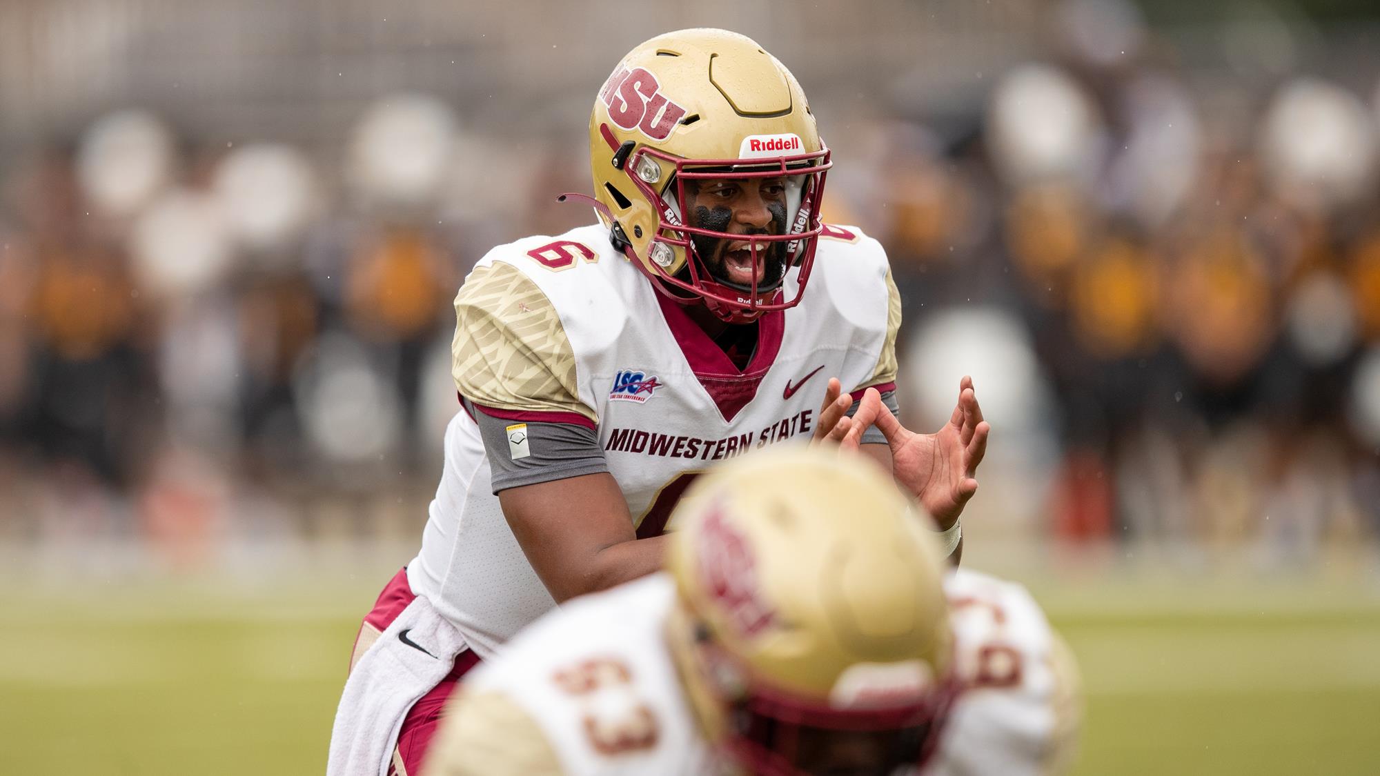 Dillon Sterling-Cole - Football - MSU Athletics