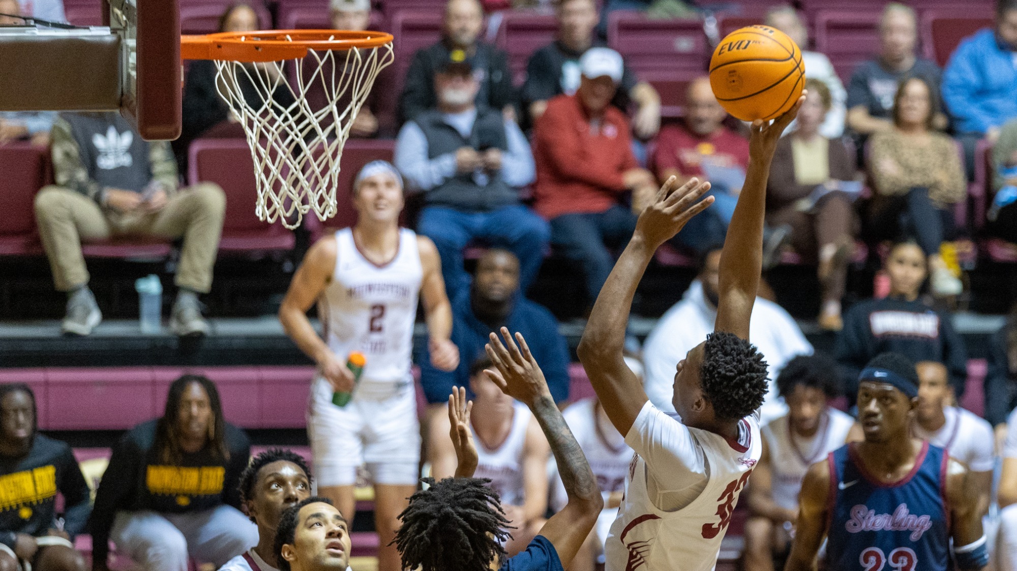 Steve Tatsiguia - Men's Basketball - MSU Athletics