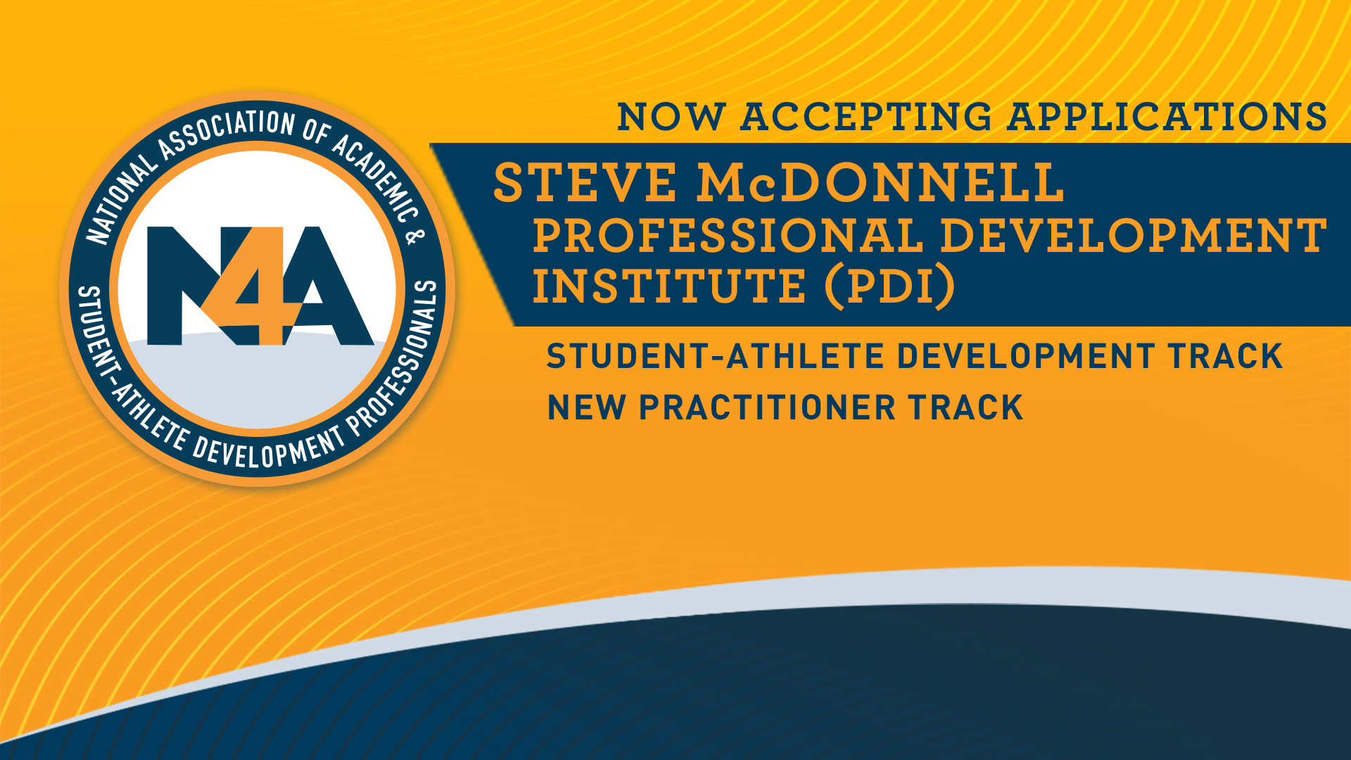 N4A Launches 2021 PDI Application Process - National Association of ...