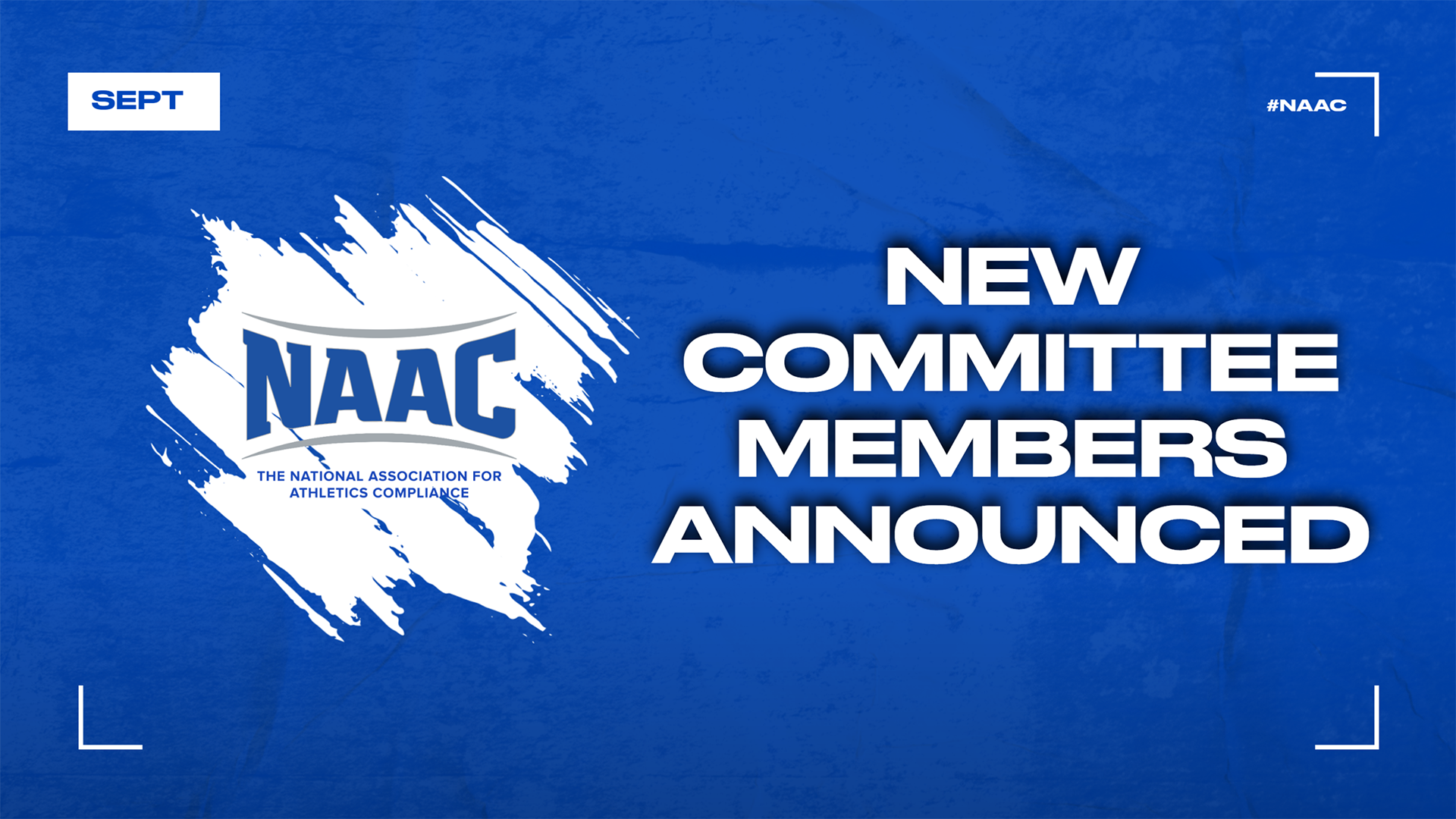 New Committee Members Announced for 2023-24 - National Association of ...