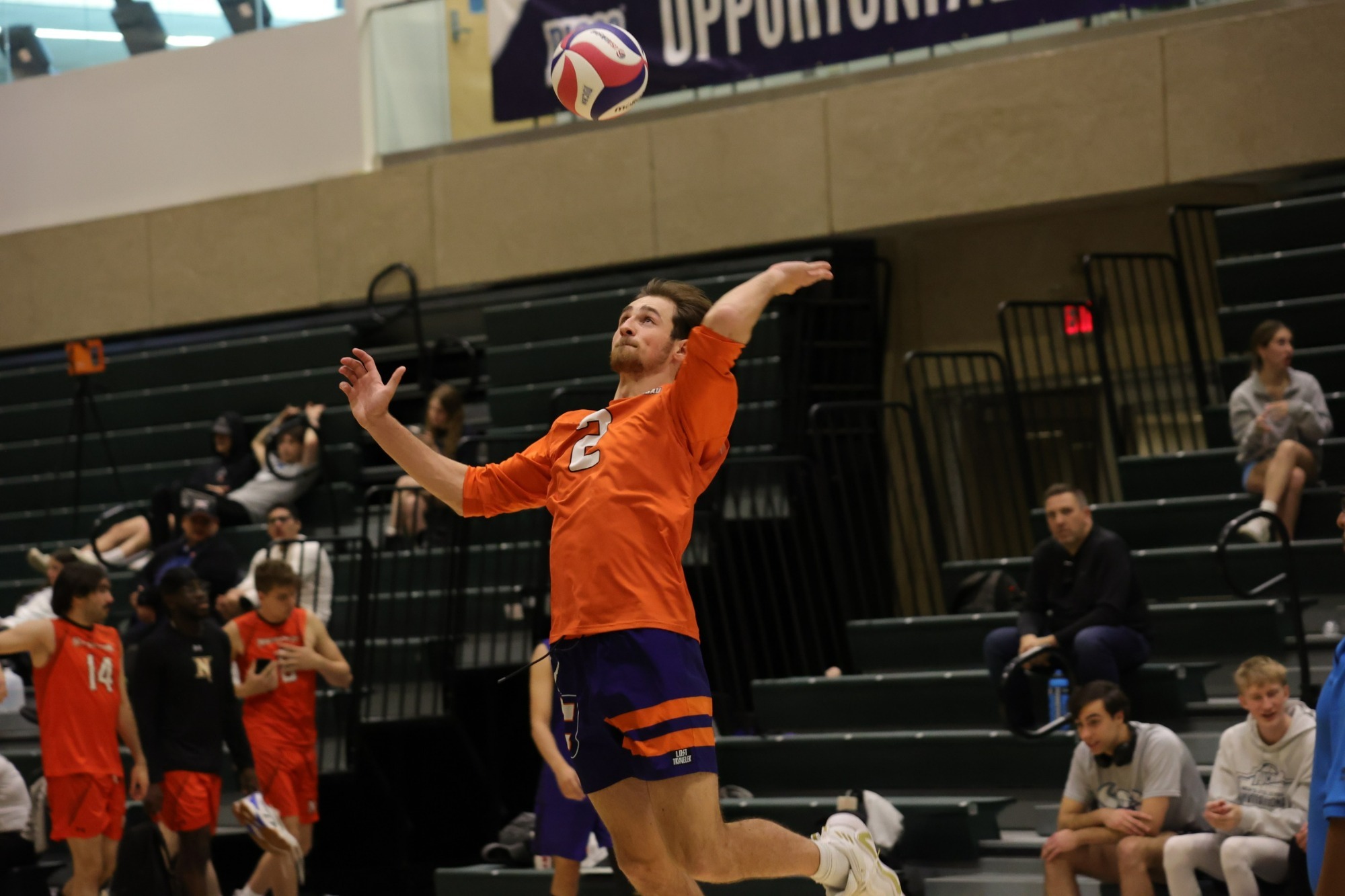 Tyler Foy - Men's Volleyball - Nassau Community College Athletics